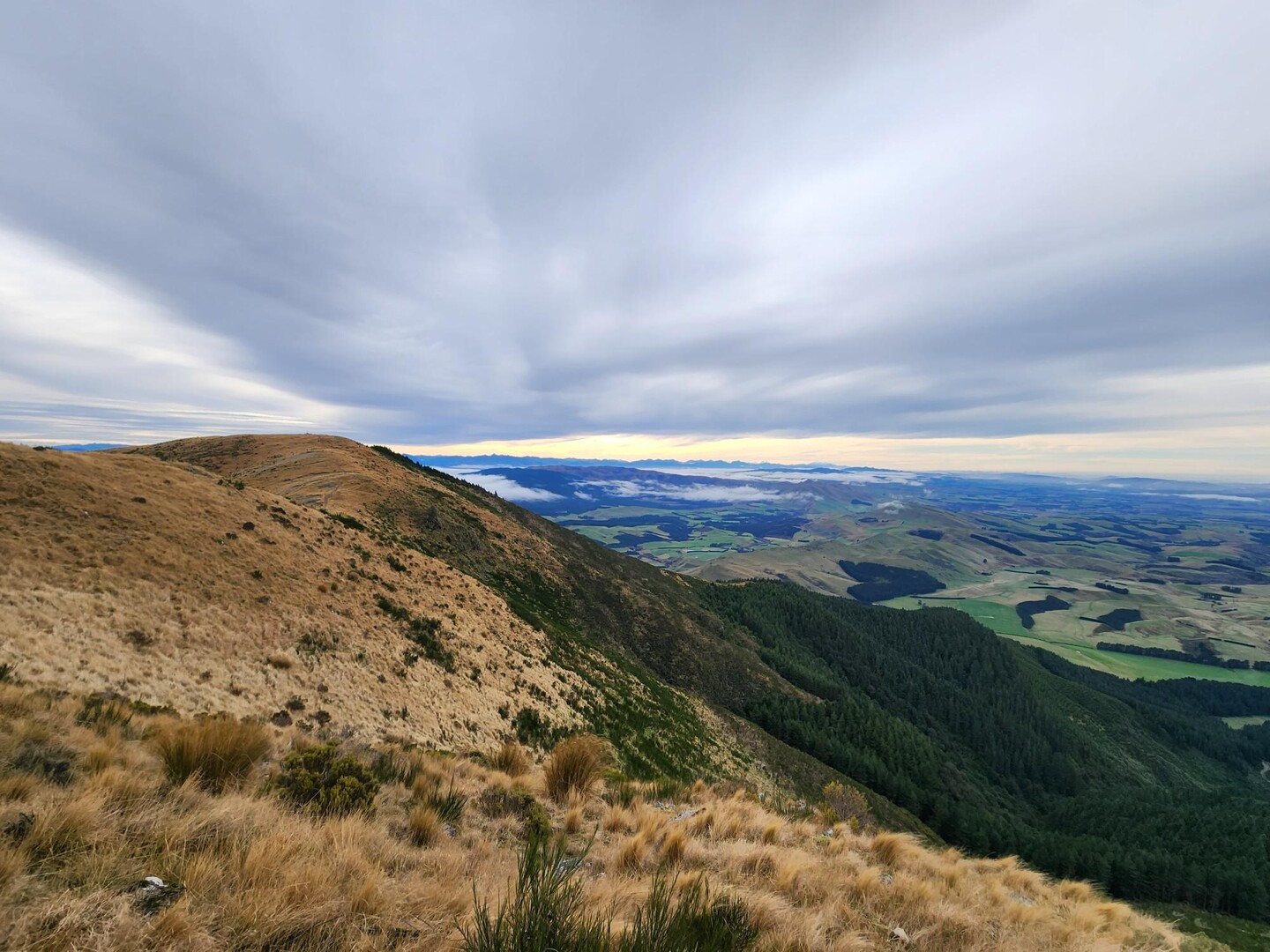 Mount Grey / second lifeさんのウォーキングの活動データ | YAMAP / ヤマップ