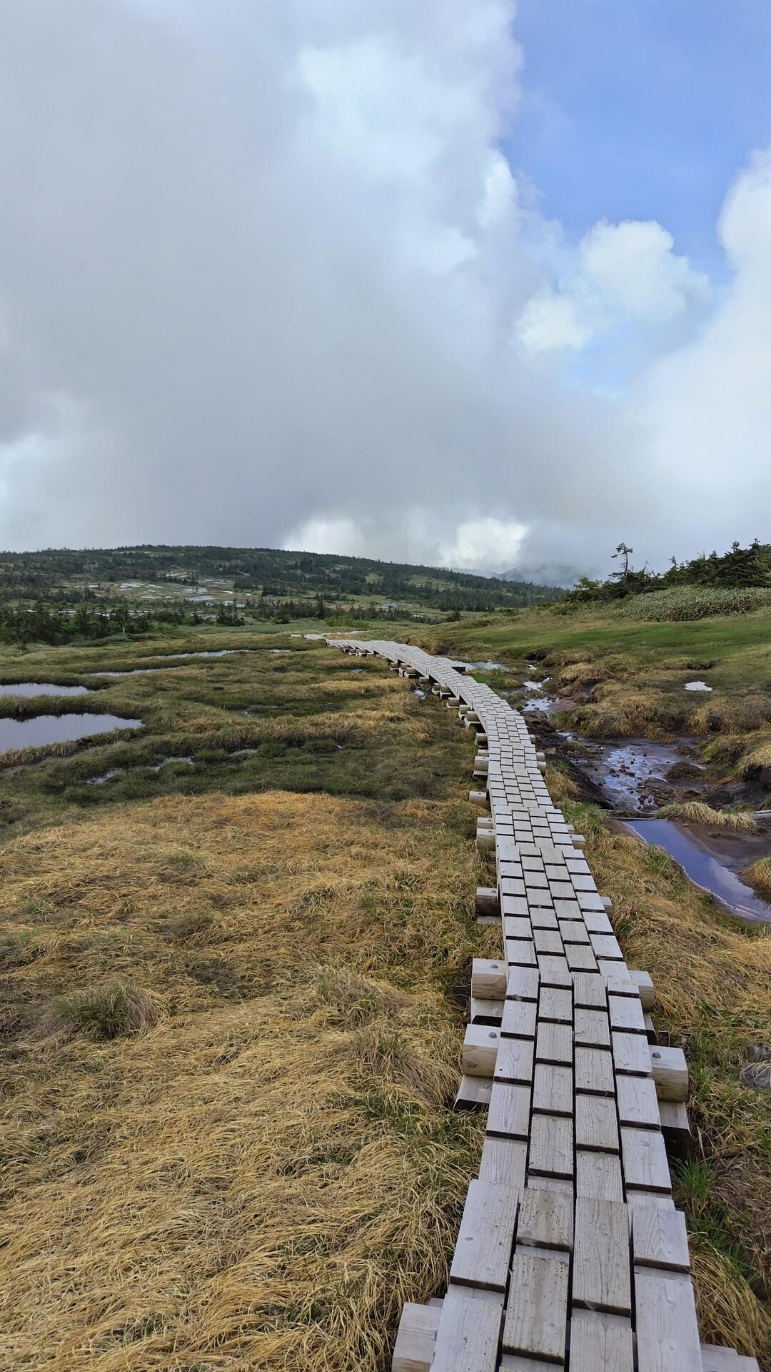 天国👼苗場山‼️ / ねこたろさんの苗場山・赤倉山・佐武流山の活動データ | YAMAP / ヤマップ