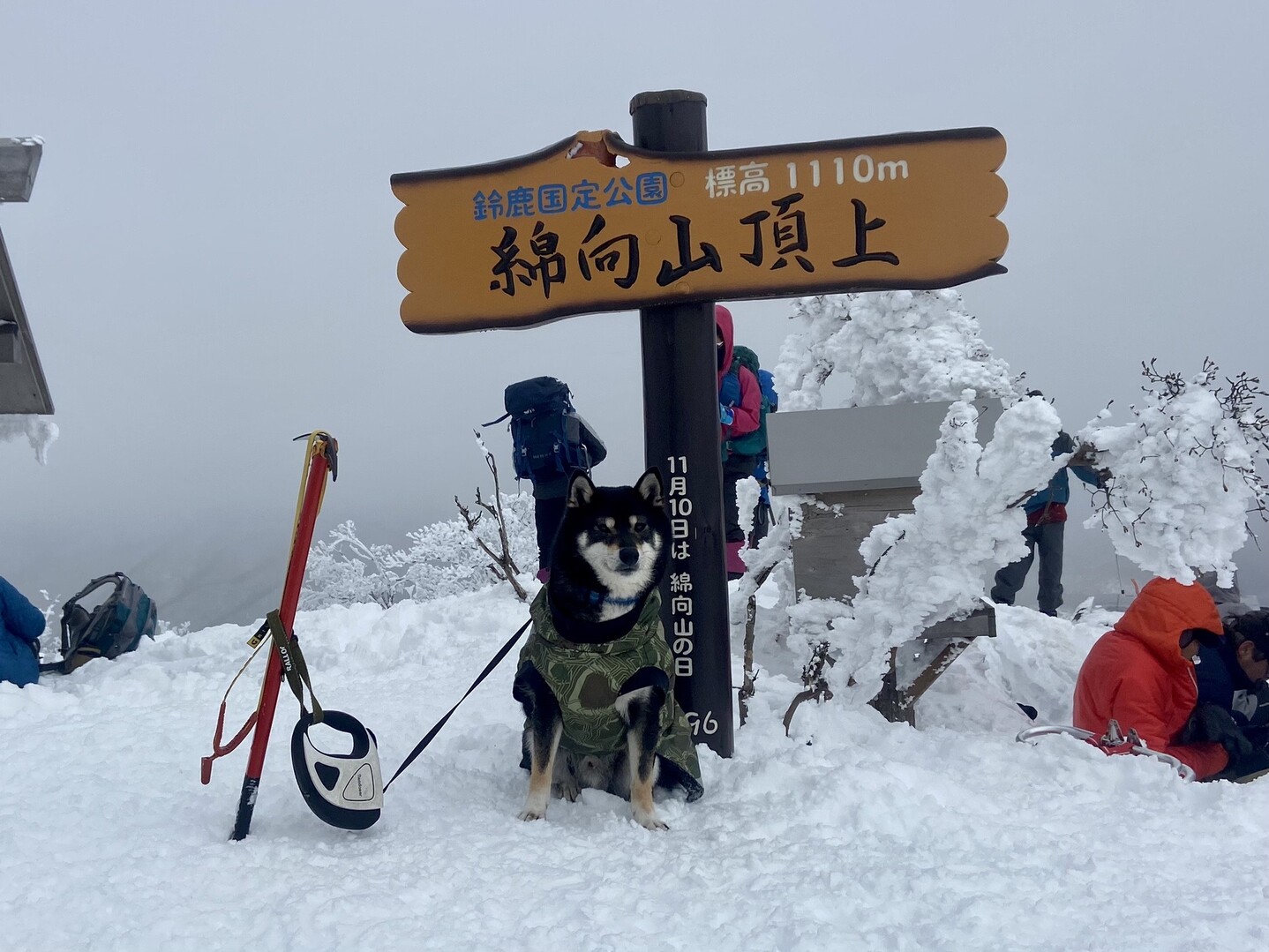 今週は山行けないので 先週の綿向山をTi... / Corchanさんのモーメント | YAMAP / ヤマップ