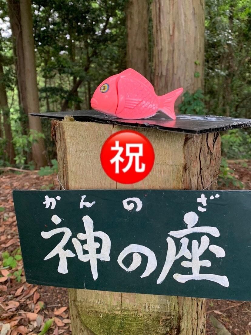 666で六ヶ岳 神の座 / 亀野あゆみさんの六ヶ岳の活動データ | YAMAP / ヤマップ