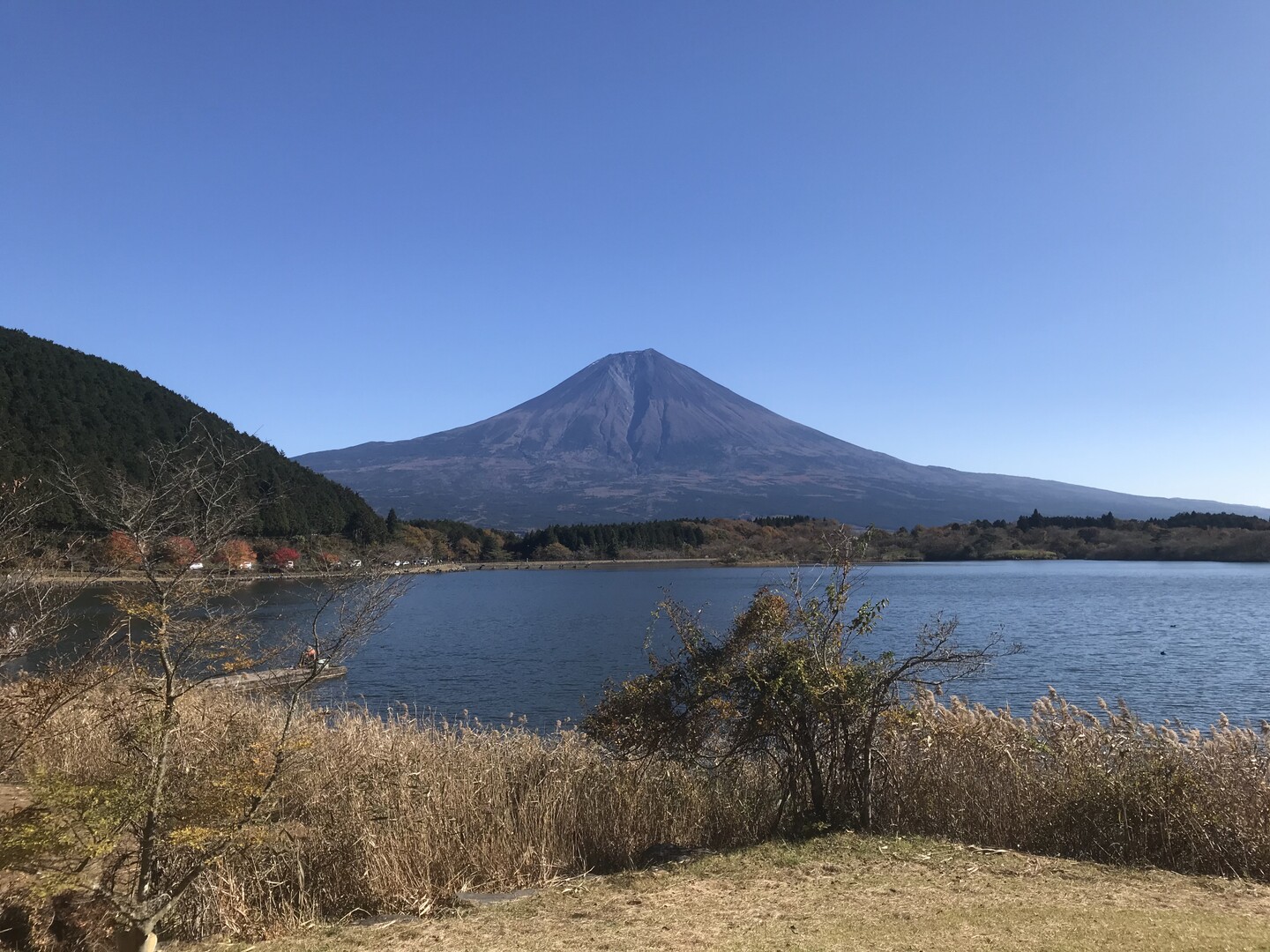 2020.11.14(土) 01:50 / ももこうせつさんのモーメント | YAMAP / ヤマップ