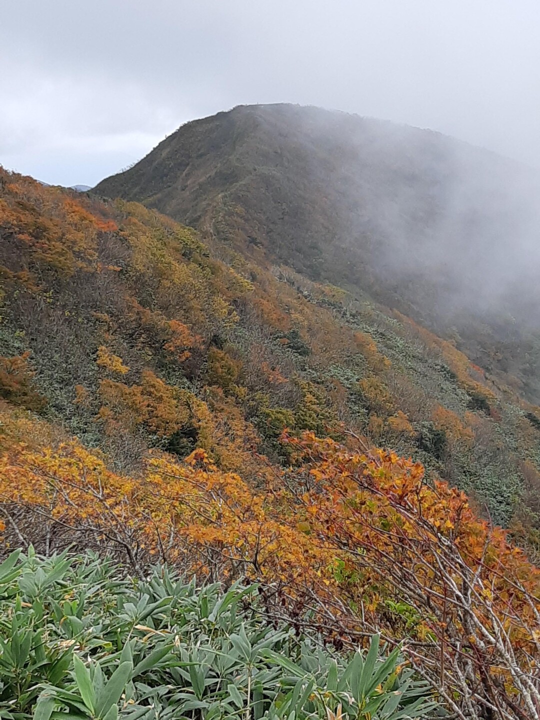 神室山 日本200名山 パノラマコース 秋田県 / やっちゃんさんのウォーキングの活動データ | YAMAP / ヤマップ