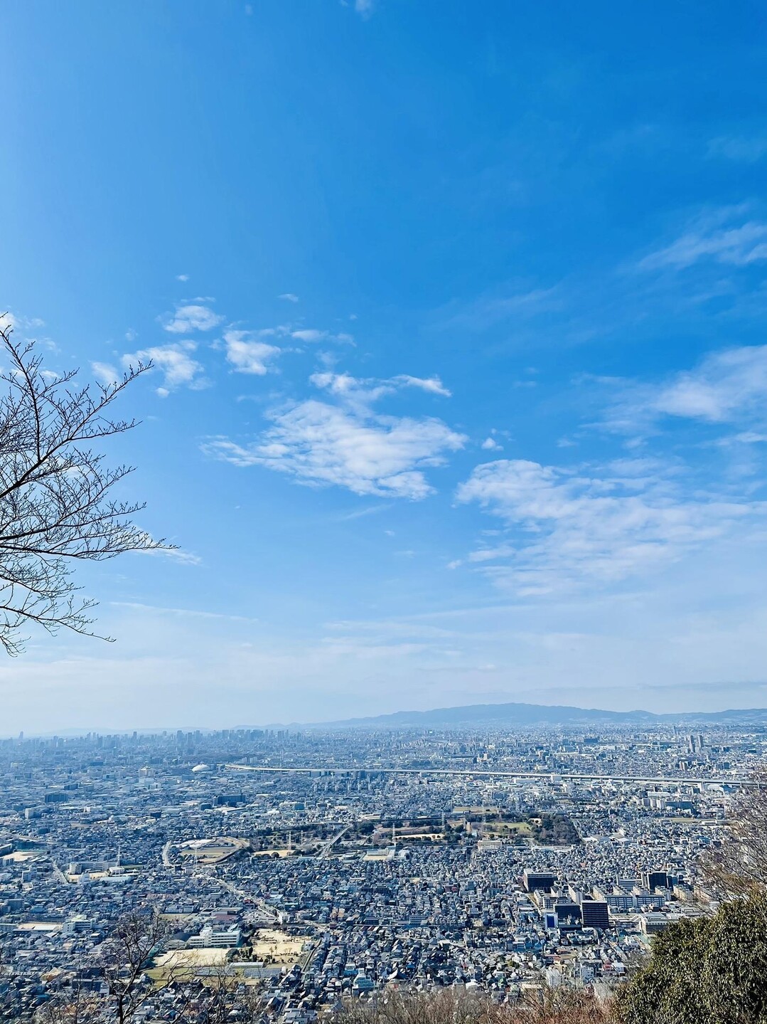 飯盛山 / Yaさんの生駒山・神津嶽・大原山の活動データ | YAMAP / ヤマップ