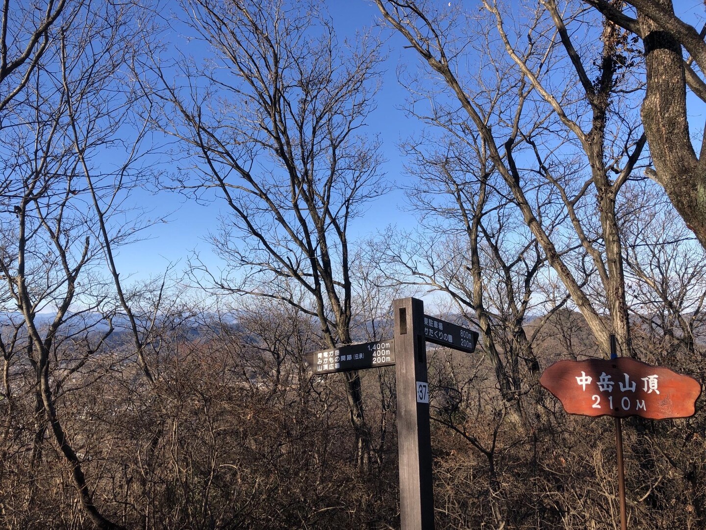 中岳 / SHさんの三毳山の活動データ | YAMAP / ヤマップ