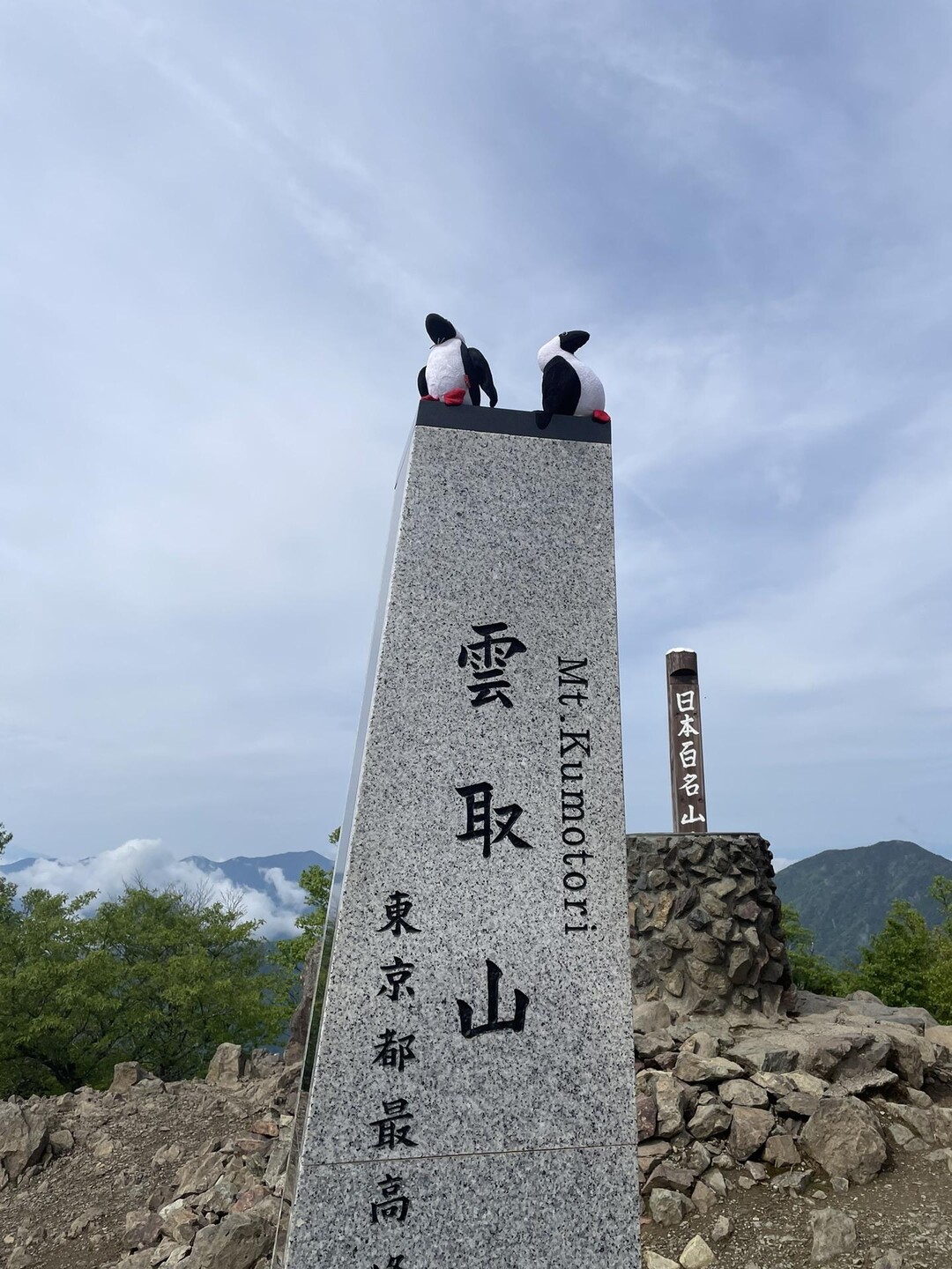 雲取山 / synさんの雲取山・鷹ノ巣山・七ツ石山の活動データ | YAMAP / ヤマップ