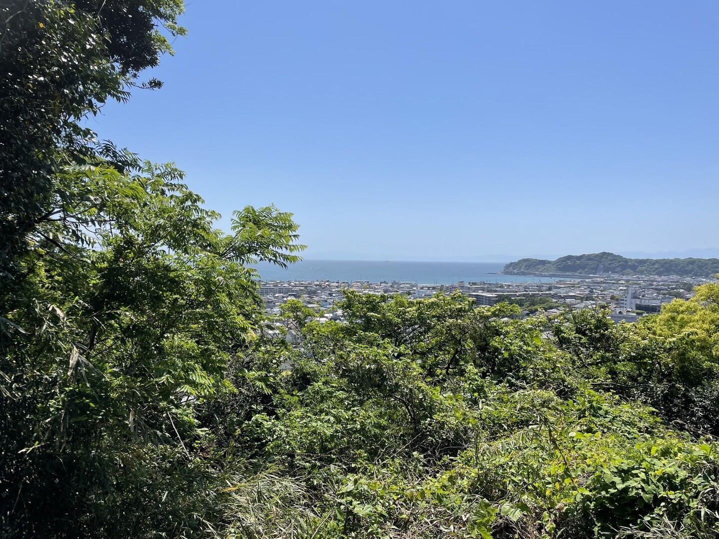 祇園山 / s06007さんの鎌倉アルプス（大平山・天台山）の活動データ | YAMAP / ヤマップ