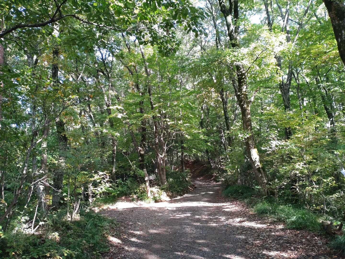 SIM無しでもイケるとのことで前の機種を... / だるま屋ウィリーさんのモーメント | YAMAP / ヤマップ