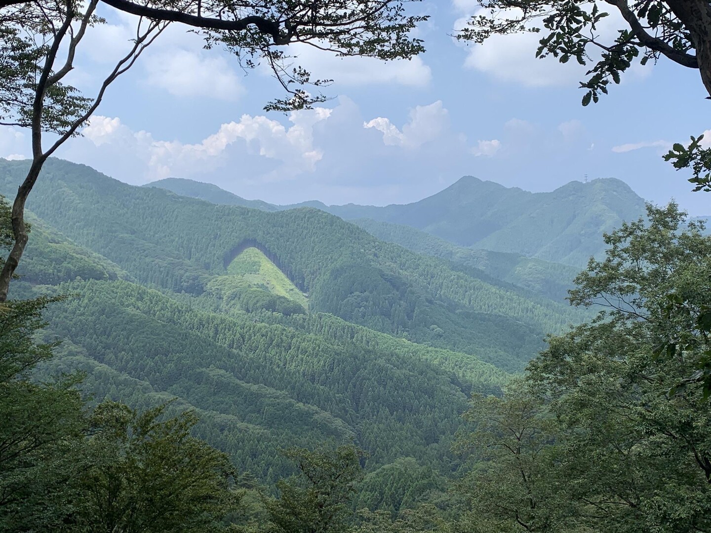R5.8.20 大蔵山・小高山・五輪山・伊豆ヶ岳・古御岳・高畑山・中ノ沢ノ頭(イモグナの頭) / あおかつさんの武甲山・伊豆ヶ岳・小持山の活動データ | YAMAP / ヤマップ