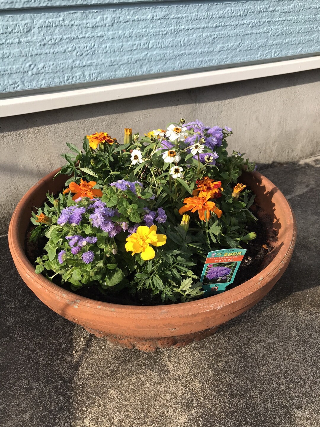 GW最終日家族揃って庭でのBBQ / Bikerpapaさんのモーメント | YAMAP / ヤマップ