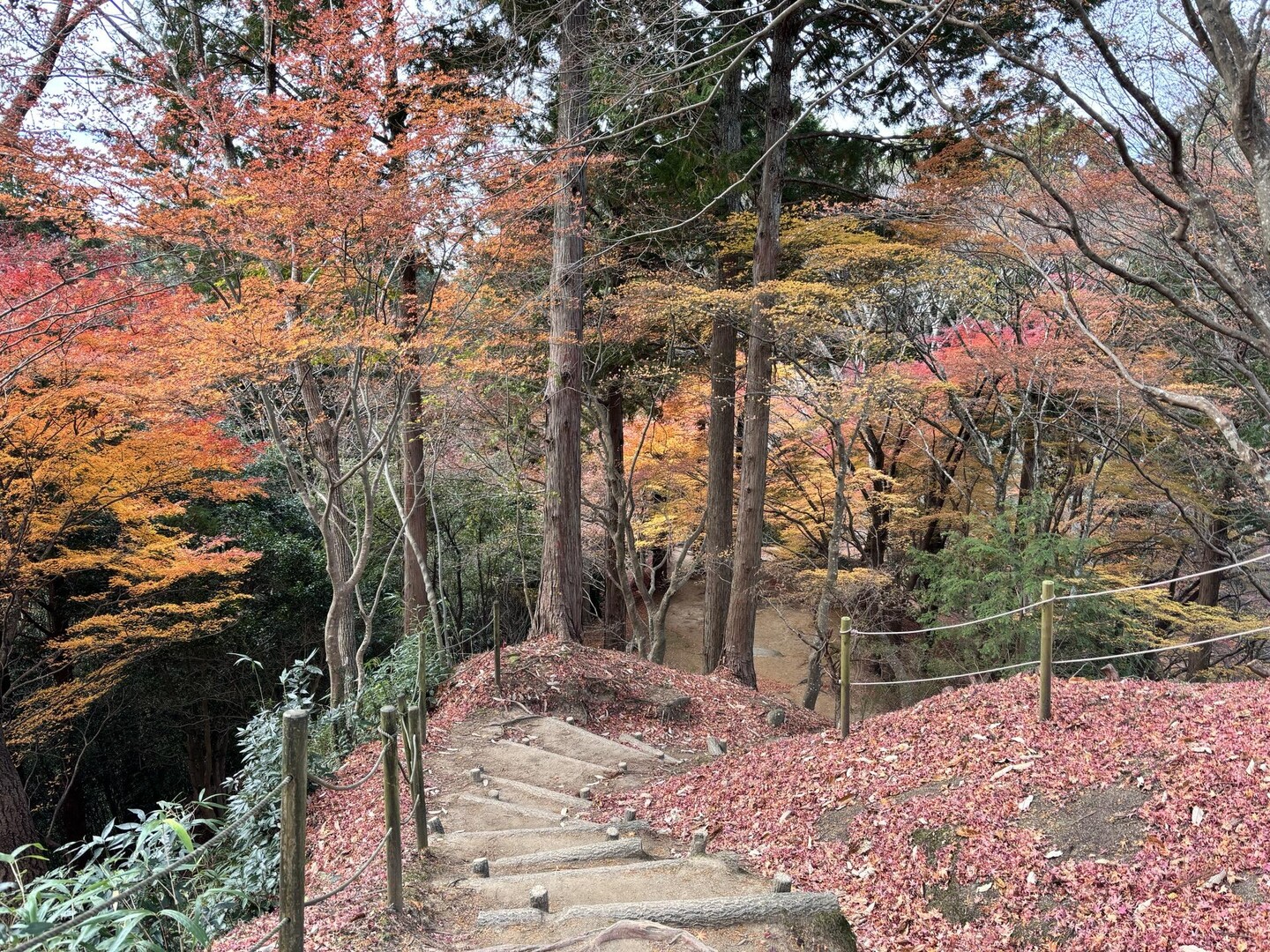 香嵐渓 その① 臼ヶ峯・飯盛山 / nonpui(ノンプイ)さんの黍生・飯盛山・真弓山の活動日記 | YAMAP / ヤマップ