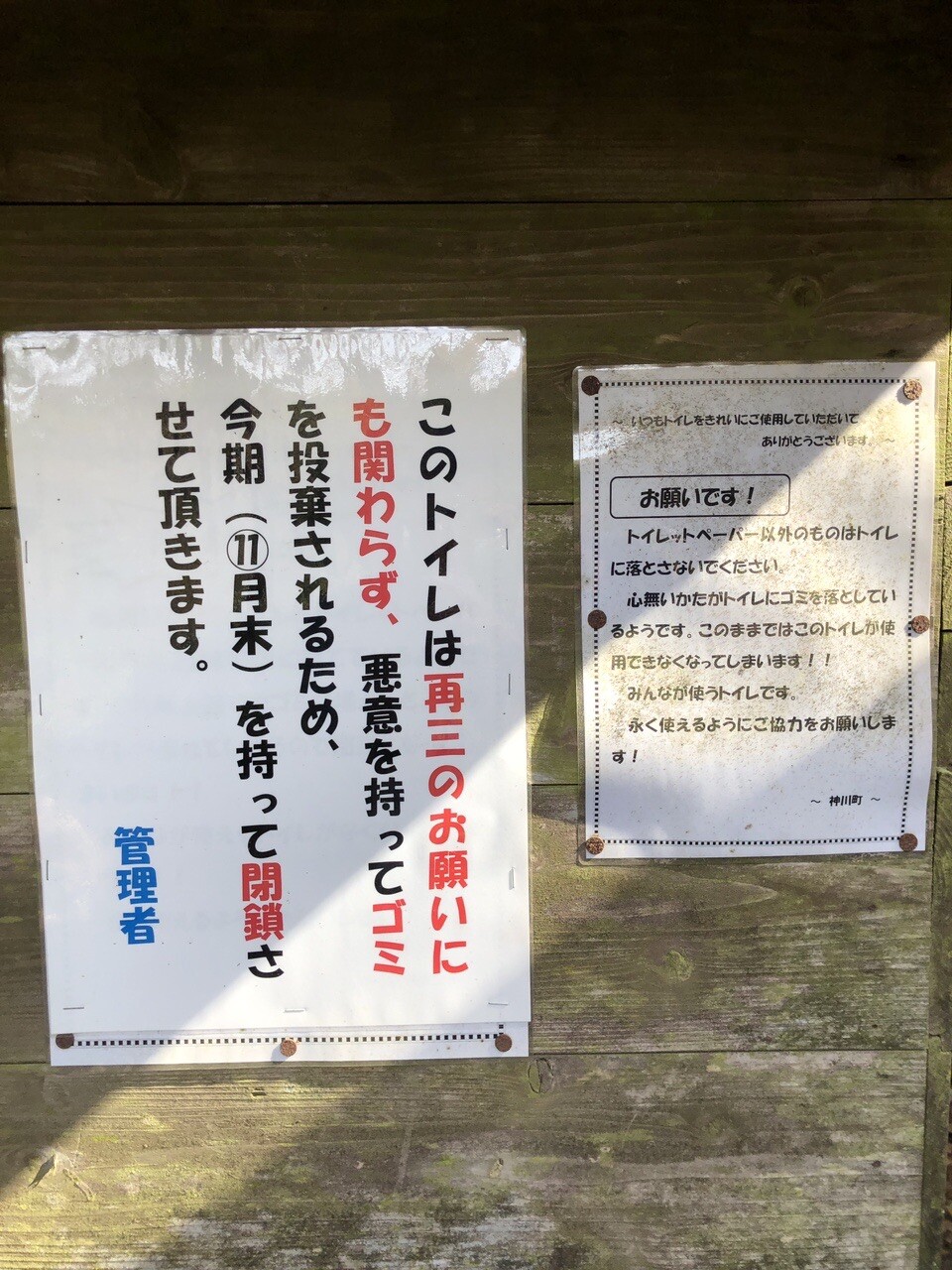 Rex Honjo Walkerさんの投稿したフィールドメモ | YAMAP / ヤマップ