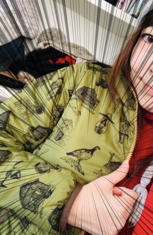 動画にもしましたが、雷鳥のイラストが入っ... / usawoさんのモーメント | YAMAP / ヤマップ