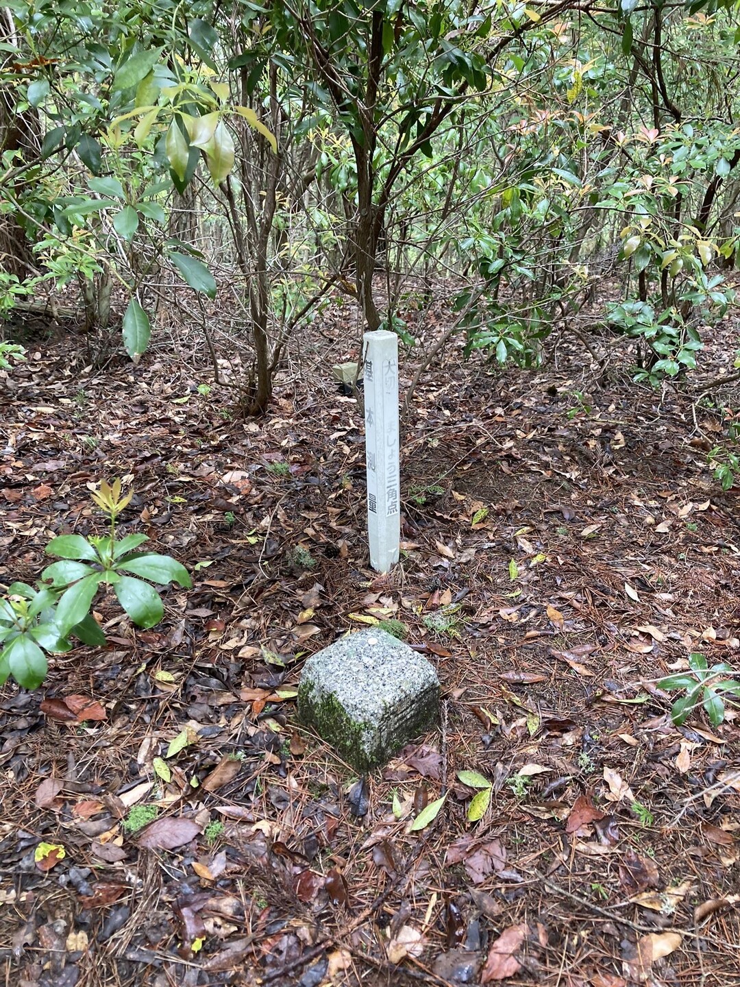 光井山 / cbmdさんの郡山の活動データ | YAMAP / ヤマップ