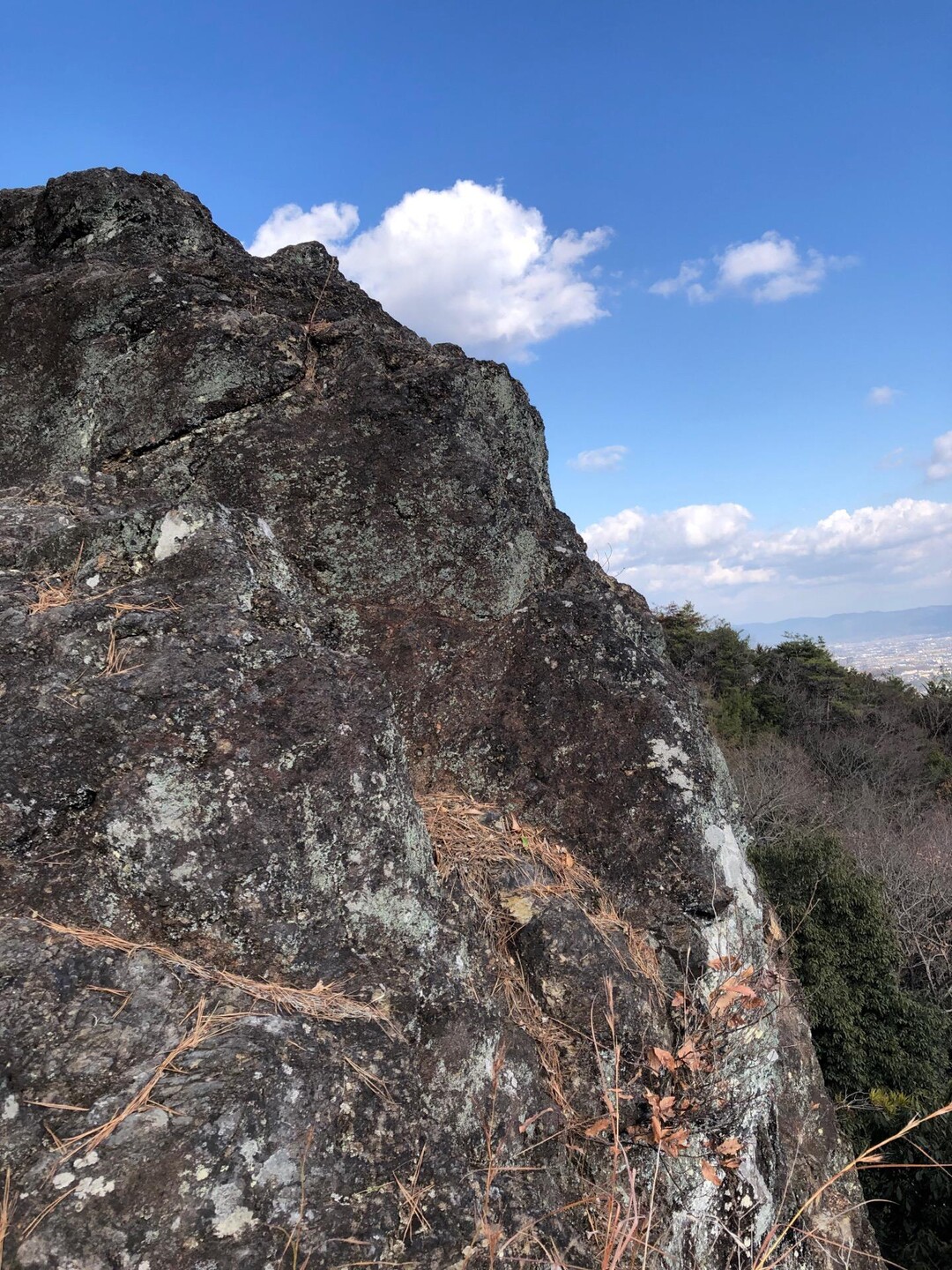 R7-No.1 二上山（雄岳）・二上山（雌岳） / シゲさんsanさんの金剛山・二上山・大和葛城山の活動データ | YAMAP / ヤマップ