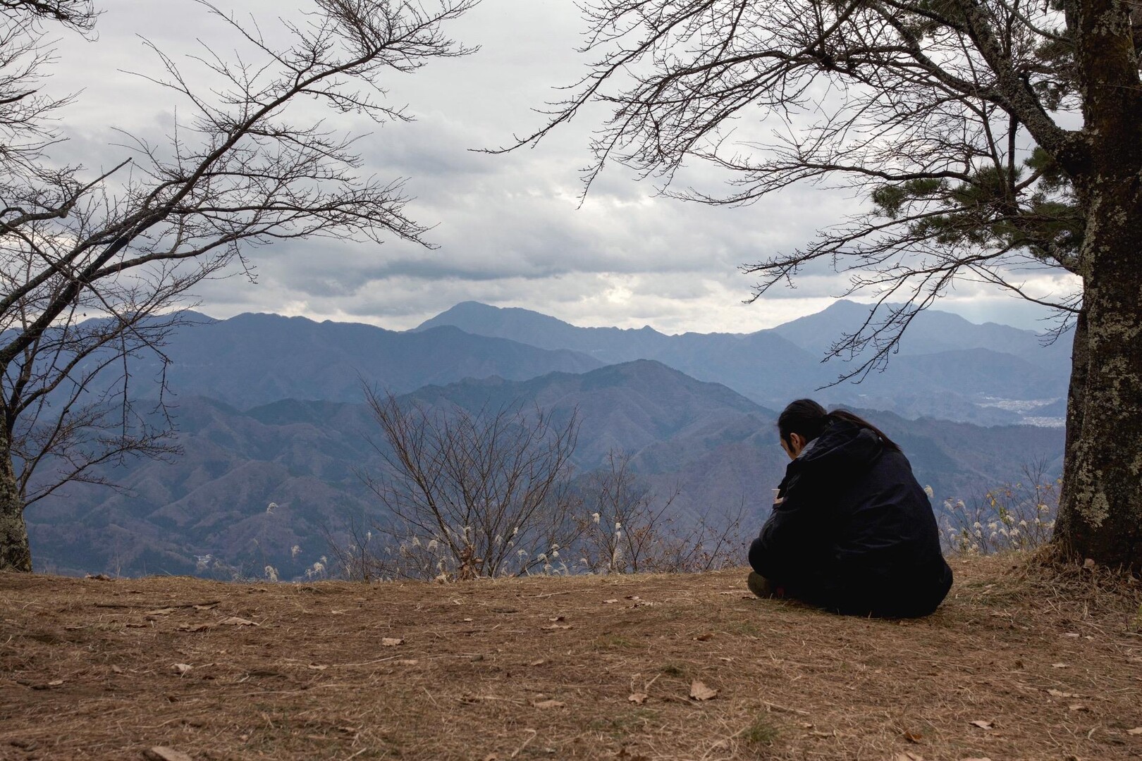 百蔵山 / TKさんの百蔵山・扇山・権現山の活動データ | YAMAP / ヤマップ