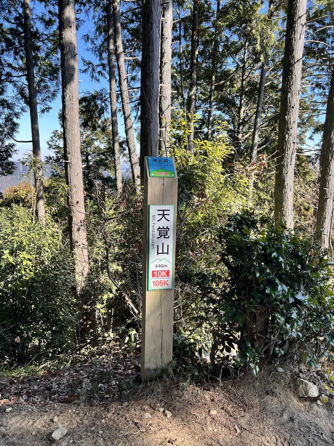飯能アルプス第2弾⛰️大高山・吾野ノ頭・天覚山 / kaoさんのヤマノススメ巡礼マップ（天覚山・大高山・子の権現）の活動データ | YAMAP / ヤマップ