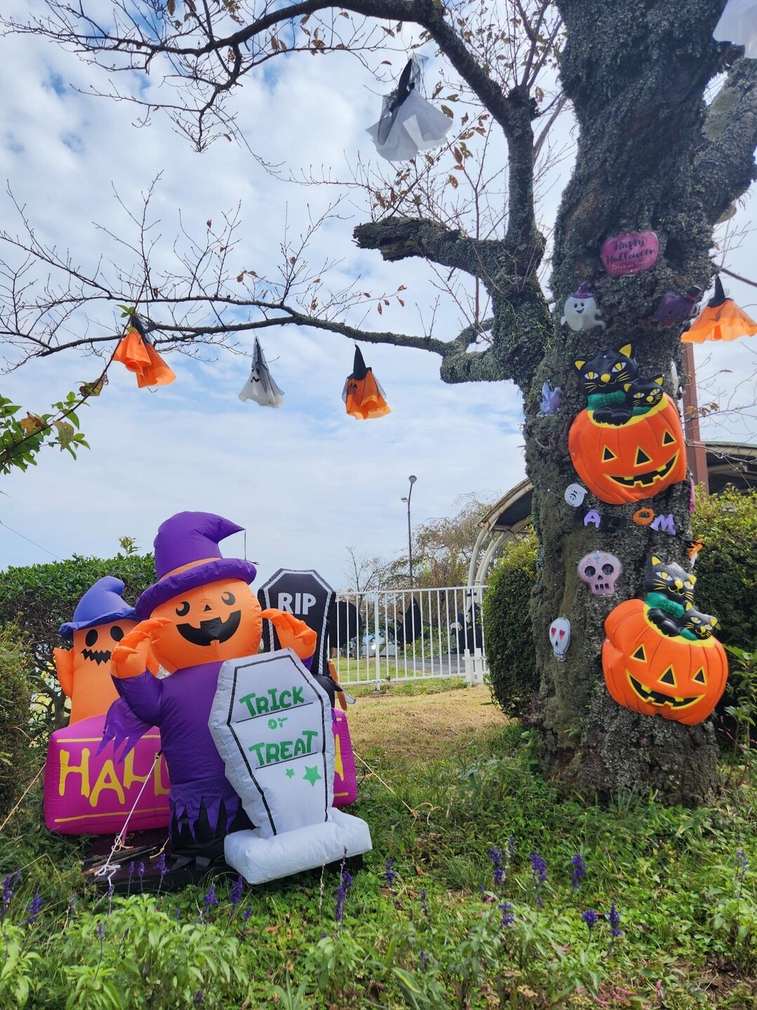 TTT生駒縦走🚶ﾁｬﾚﾝｼﾞ😲 / Cielさんの交野山・国見山の活動データ | YAMAP / ヤマップ