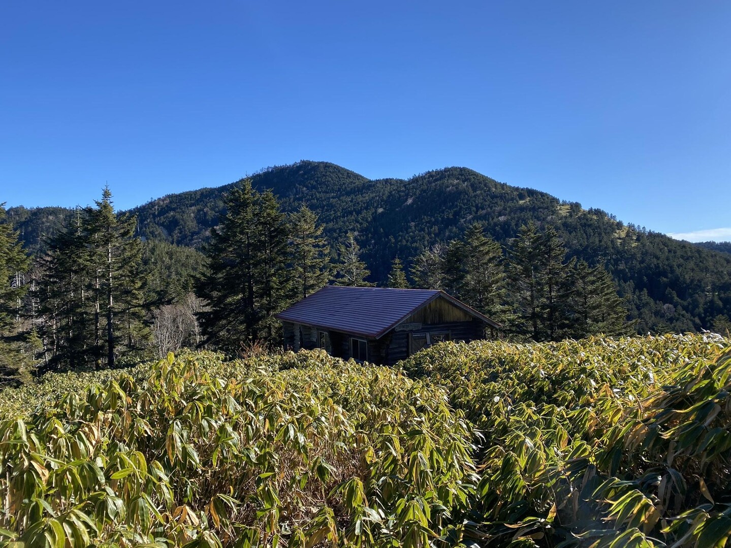 摺古木山・白ビソ山・安平路山 / ホタルイカさんの安平路山・摺古木山の活動データ | YAMAP / ヤマップ