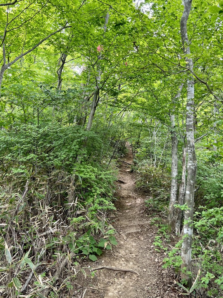 西風蕃山-蕃山-萱ヶ崎山 往復コースの地図・登山ルート・登山口情報 | YAMAP / ヤマップ