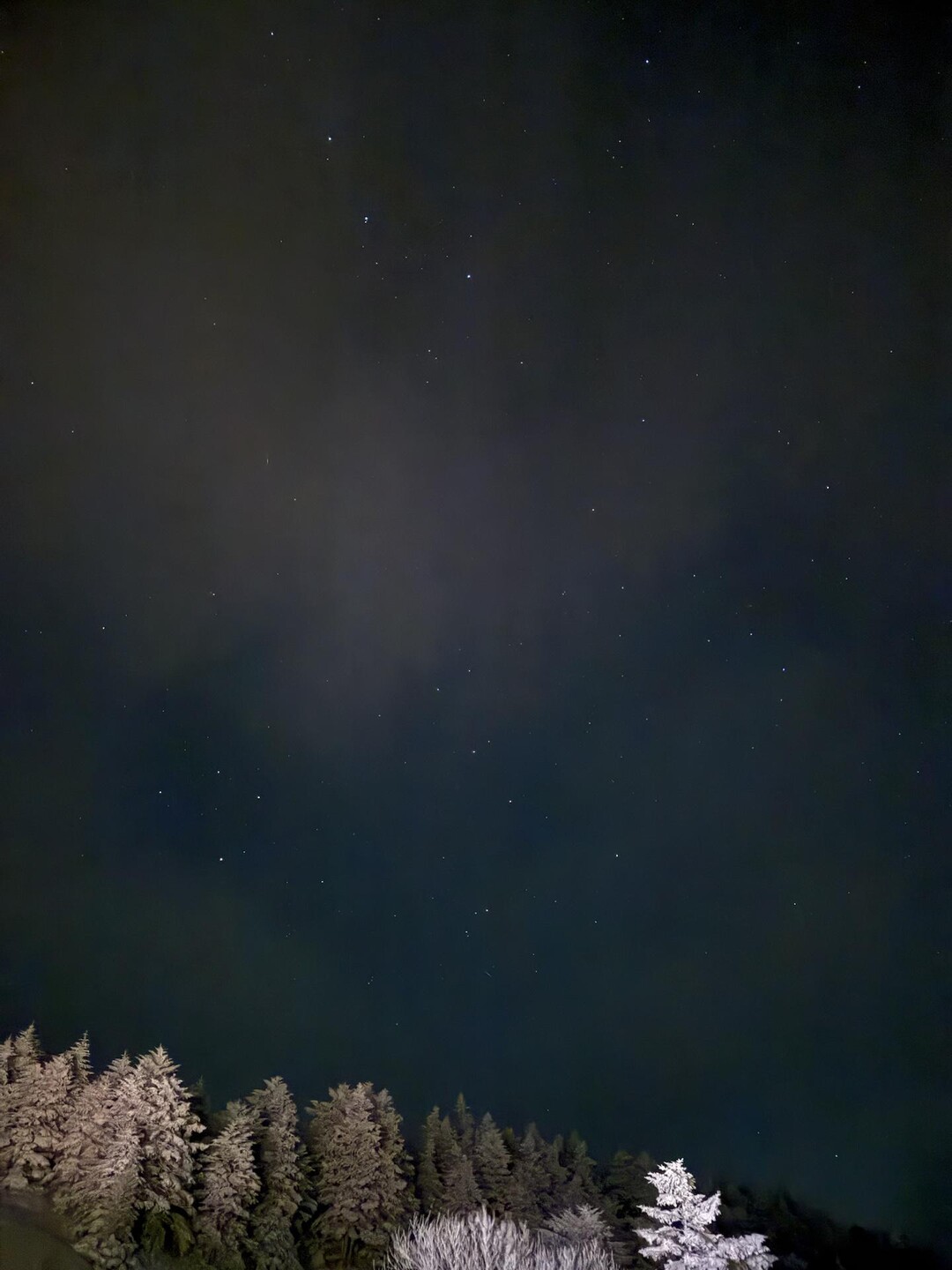 2024年の最後の山は美ヶ原でした！ 星... / mochiさんのモーメント | YAMAP / ヤマップ