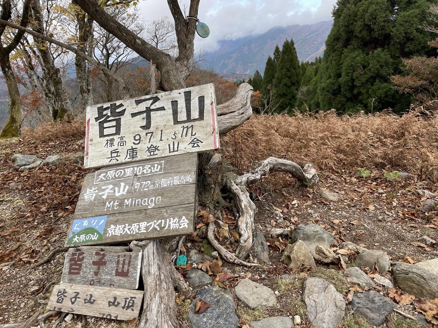 京都府最高峰📍皆子山 / ずんこさんの皆子山の活動データ | YAMAP / ヤマップ