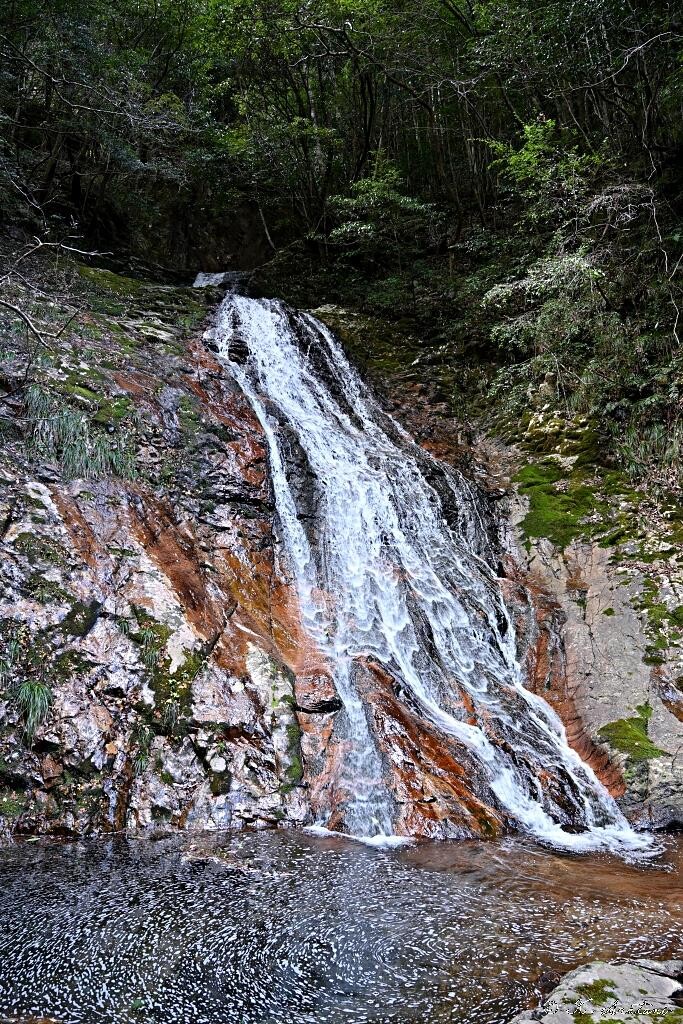 津和野瀧元 雌滝 雄滝 / Kanameさんの青野山・奥山の活動データ | YAMAP / ヤマップ
