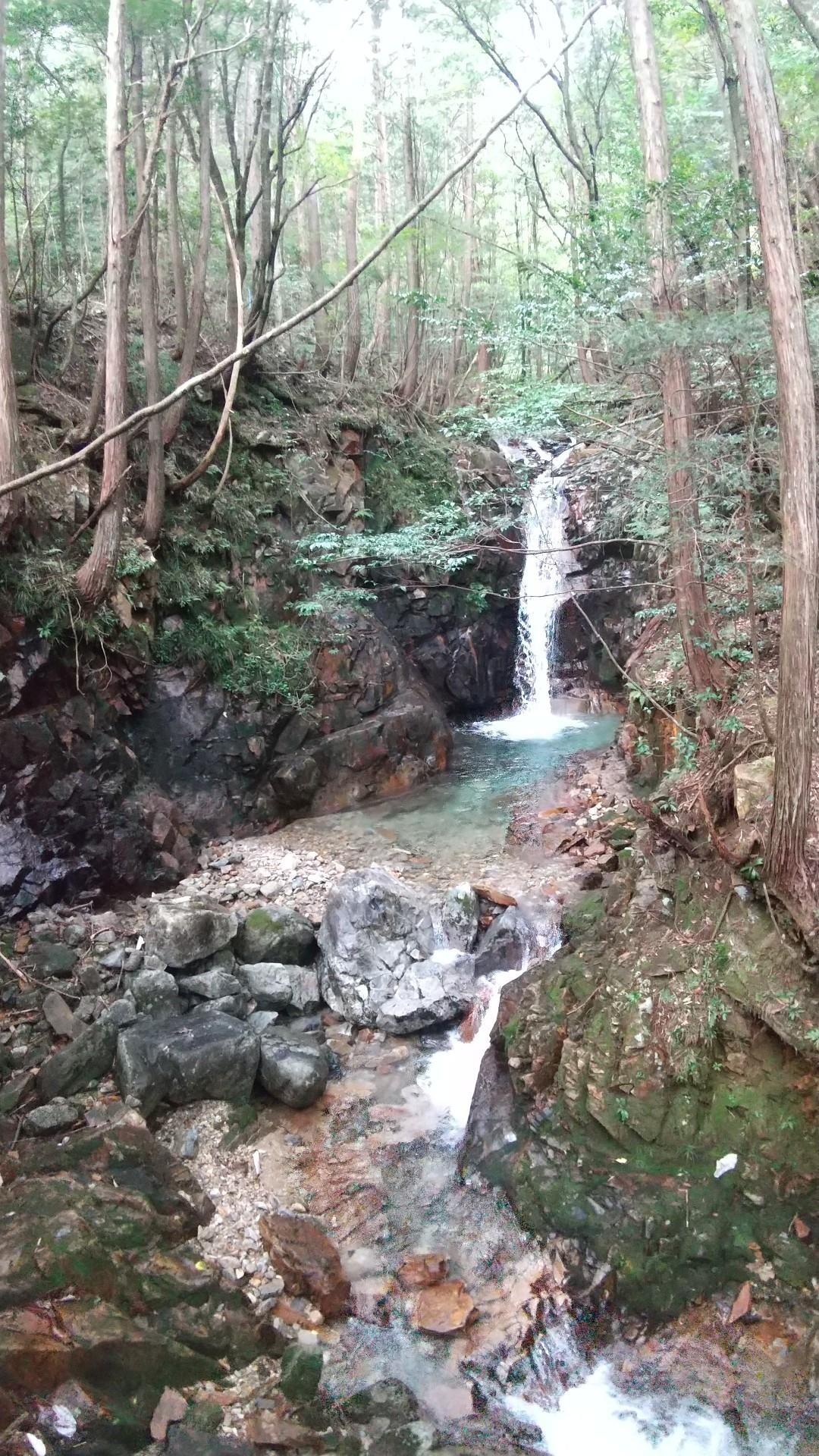 高賀山・瓢ヶ岳 / masa jiさんの高賀山・瓢ヶ岳・片知山の活動データ | YAMAP / ヤマップ
