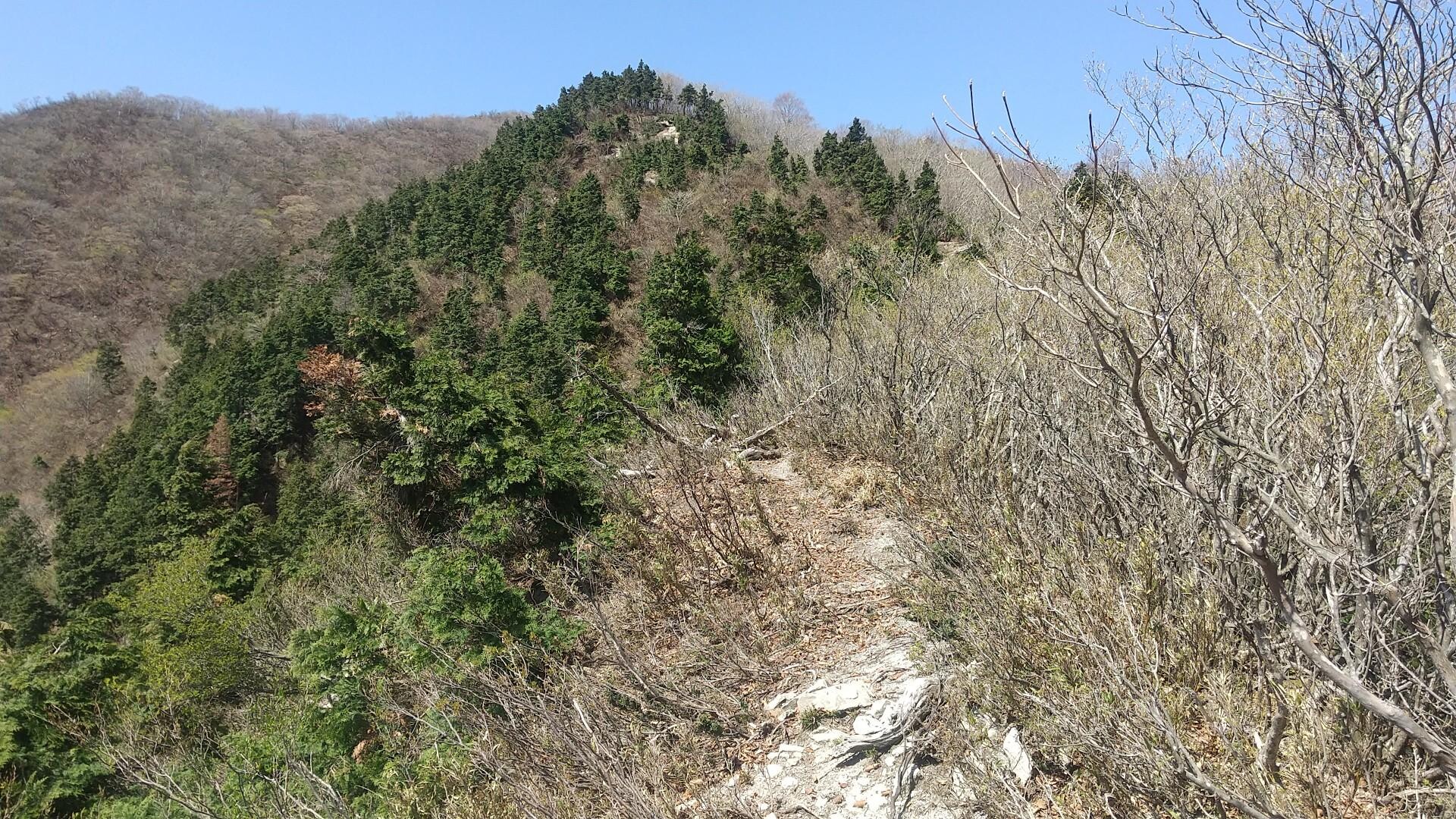 貝月～ブンゲンDNF / dkさんの貝月山の活動データ | YAMAP / ヤマップ