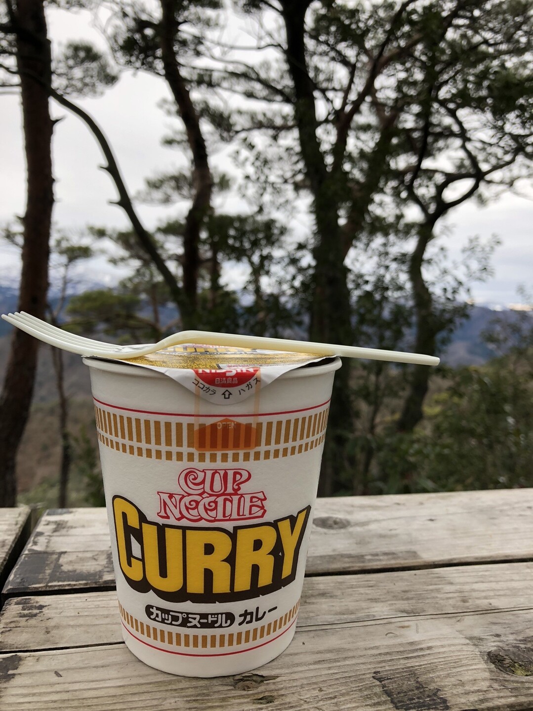 鞍掛山(石川県)-2020-01-19 / Cocoさんの鞍掛山・後山・三童子山の活動日記 | YAMAP / ヤマップ