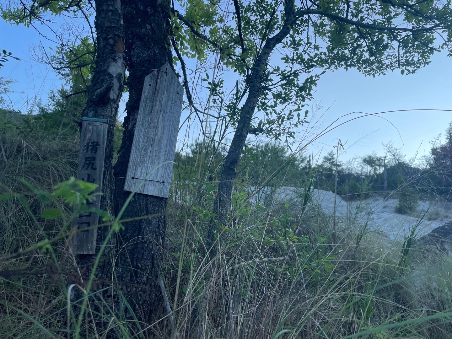 xmatyoさんの投稿したフィールドメモ | YAMAP / ヤマップ