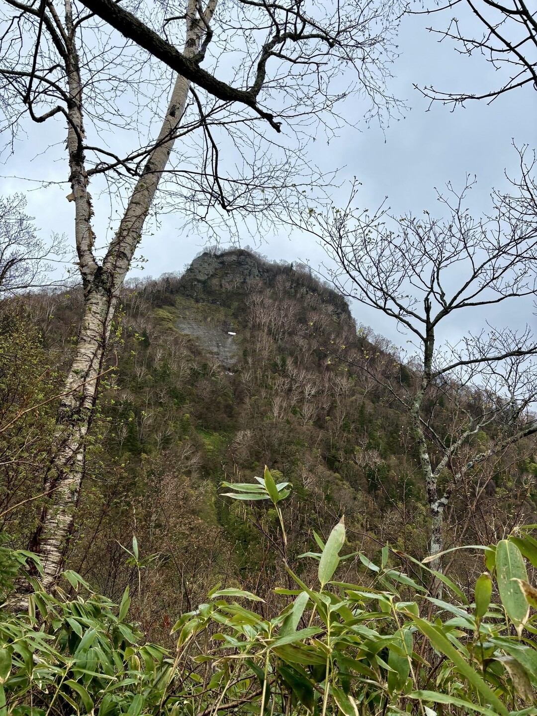 神威岳 / naruさんの神威岳の活動データ | YAMAP / ヤマップ