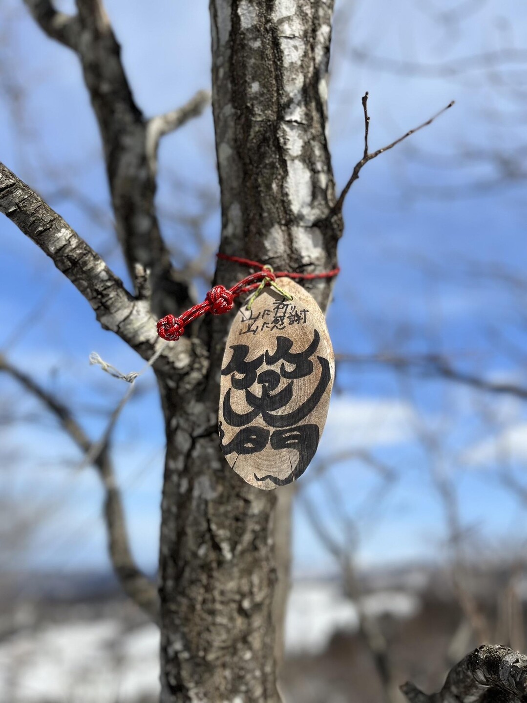 日曜の千垣山・尖山 / - chica -🎆さんの尖山の活動データ | YAMAP / ヤマップ