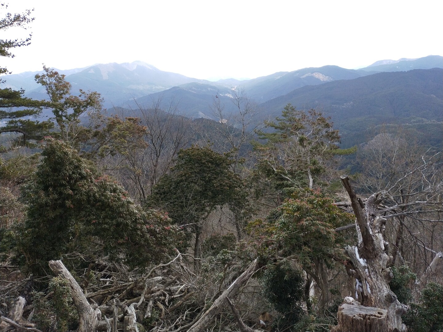 Kiyo_Ishiさんの投稿したフィールドメモ | YAMAP / ヤマップ