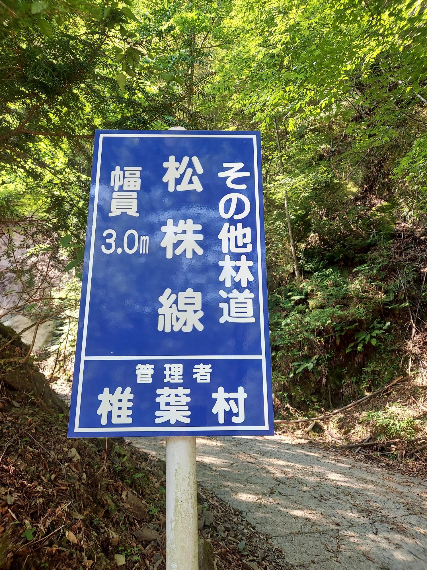 椎葉村 林道松株線より松株山 / derainandreさんの向坂山・三方山・天主山の活動データ | YAMAP / ヤマップ