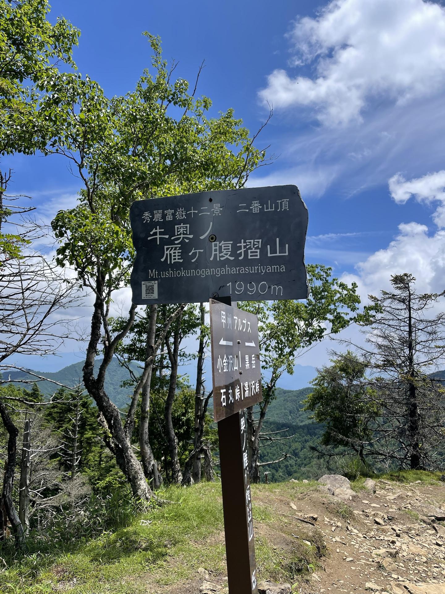 天狗棚山・小金沢山・牛奥ノ雁ヶ腹摺山・川胡桃沢の頭・黒岳・白谷ノ丸・白谷小丸 / AKYさんの大菩薩嶺・鶏冠山・大マテイ山の活動日記 | YAMAP / ヤマップ