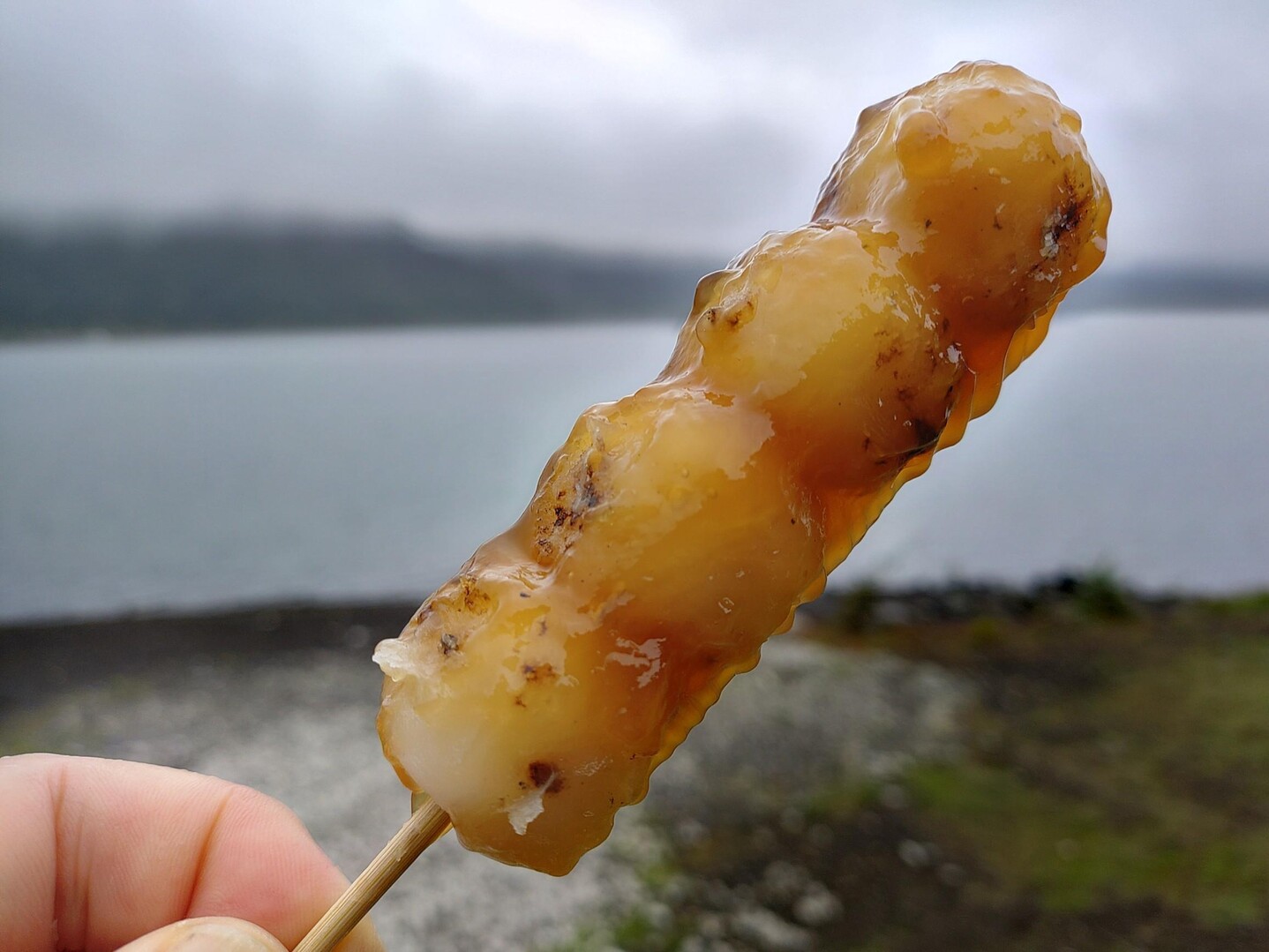 真っ白！男体山！ / kohirouさんの男体山の活動データ | YAMAP / ヤマップ