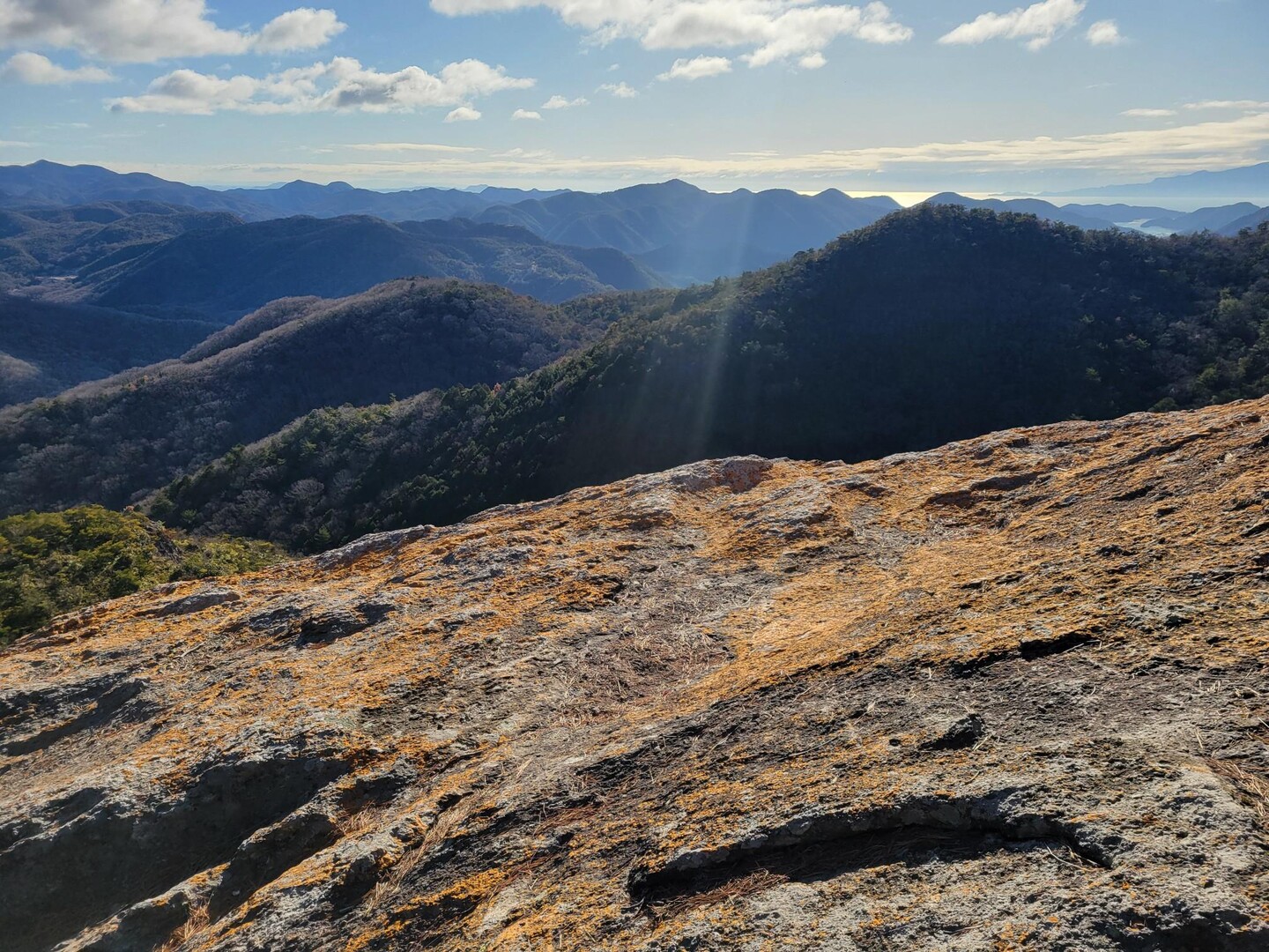 観音寺山 / RIMOさんの観音寺山の活動日記 | YAMAP / ヤマップ