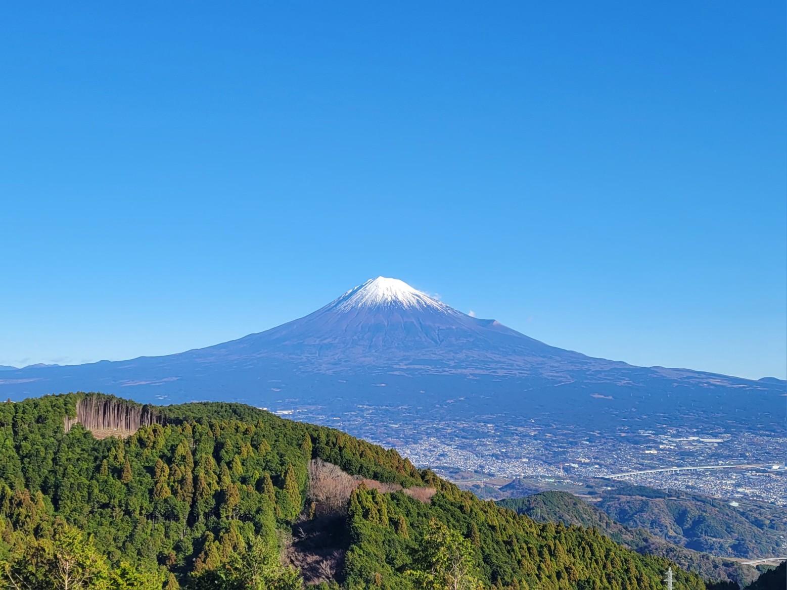 大丸山〜金丸山☀(JR蒲原駅→富士川駅) / Masaさんの金丸山・大丸山・雨乞山の活動データ | YAMAP / ヤマップ