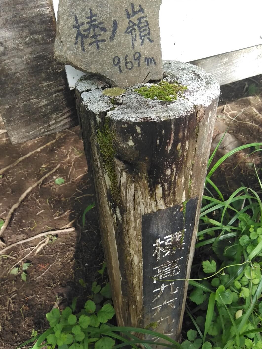 棒ノ嶺（棒ノ折山） / msjさんの棒ノ折山（棒ノ嶺）の活動データ | YAMAP / ヤマップ