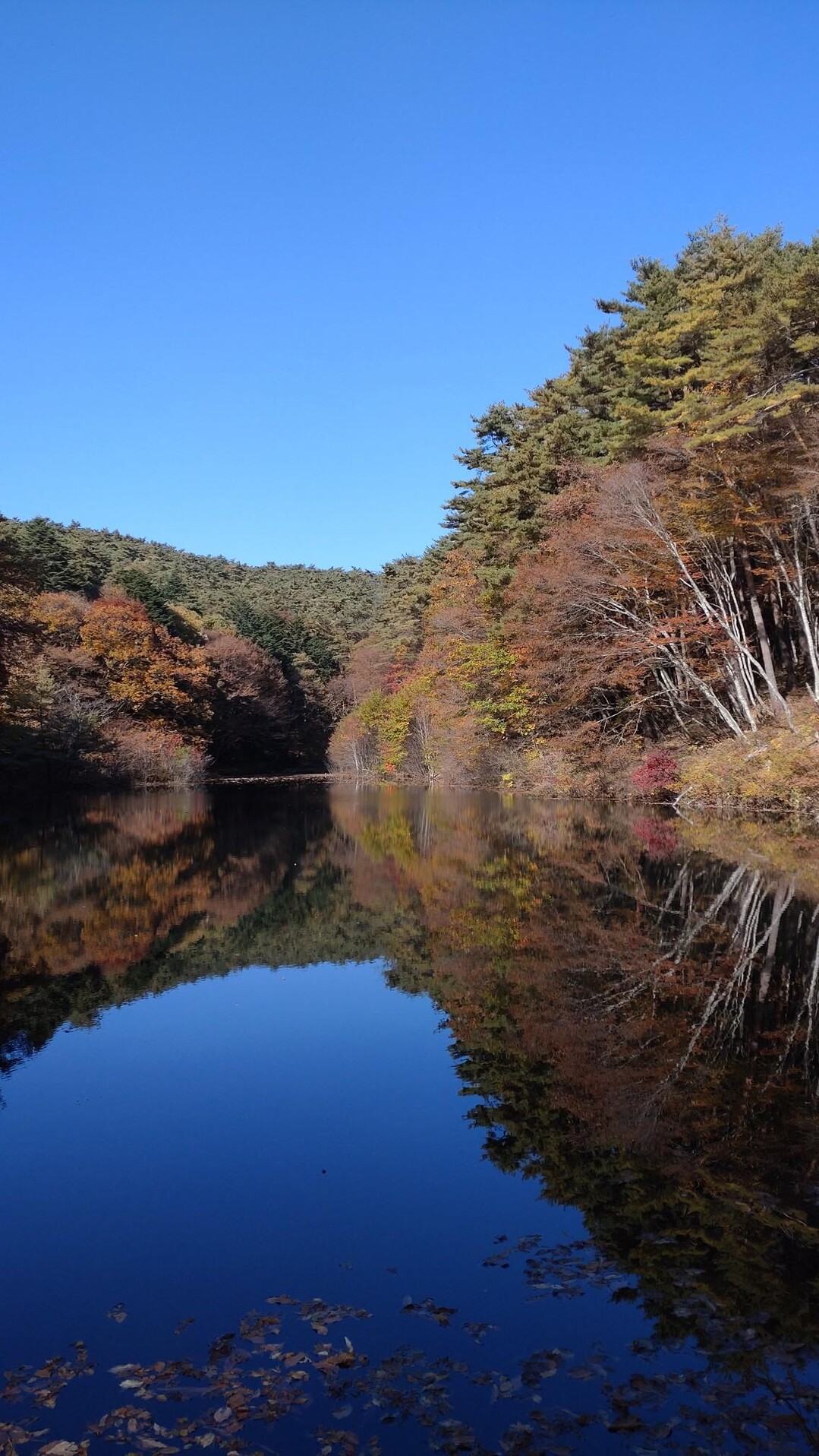 上州三峰山…三峰沼 / y.zatoさんの三峰山の活動データ | YAMAP / ヤマップ