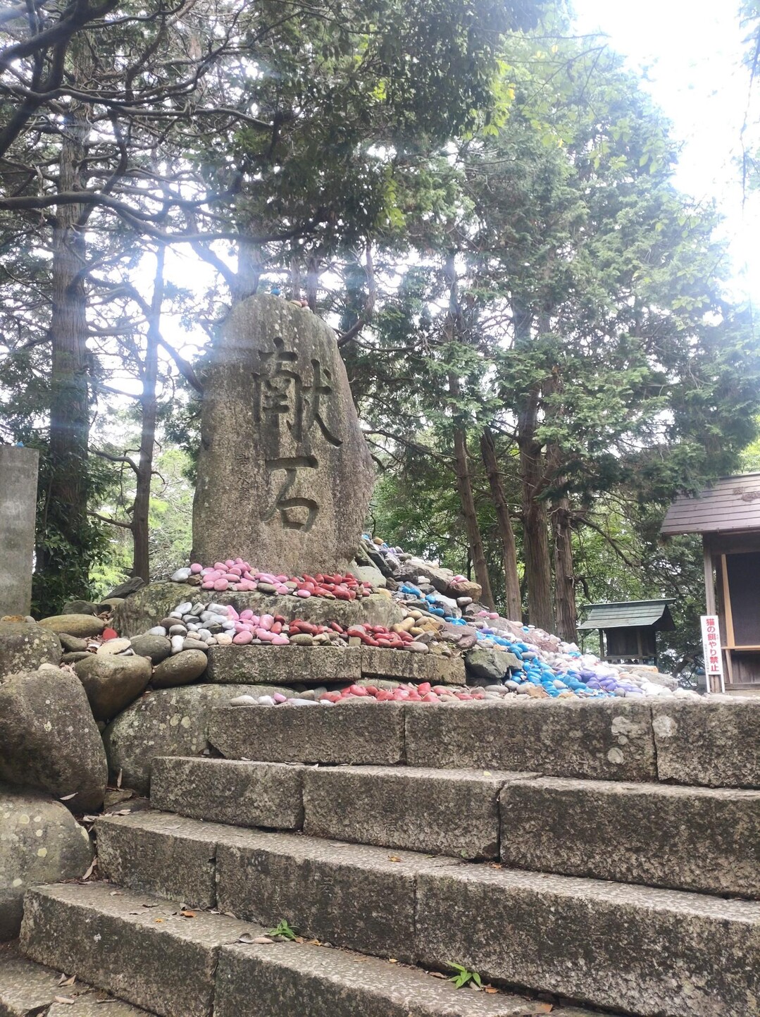 周回失敗😢尾張本宮山・尾張富士・尾張白山【愛知130山】 / げんさんさんの尾張富士・尾張本宮山・尾張白山の活動データ | YAMAP / ヤマップ