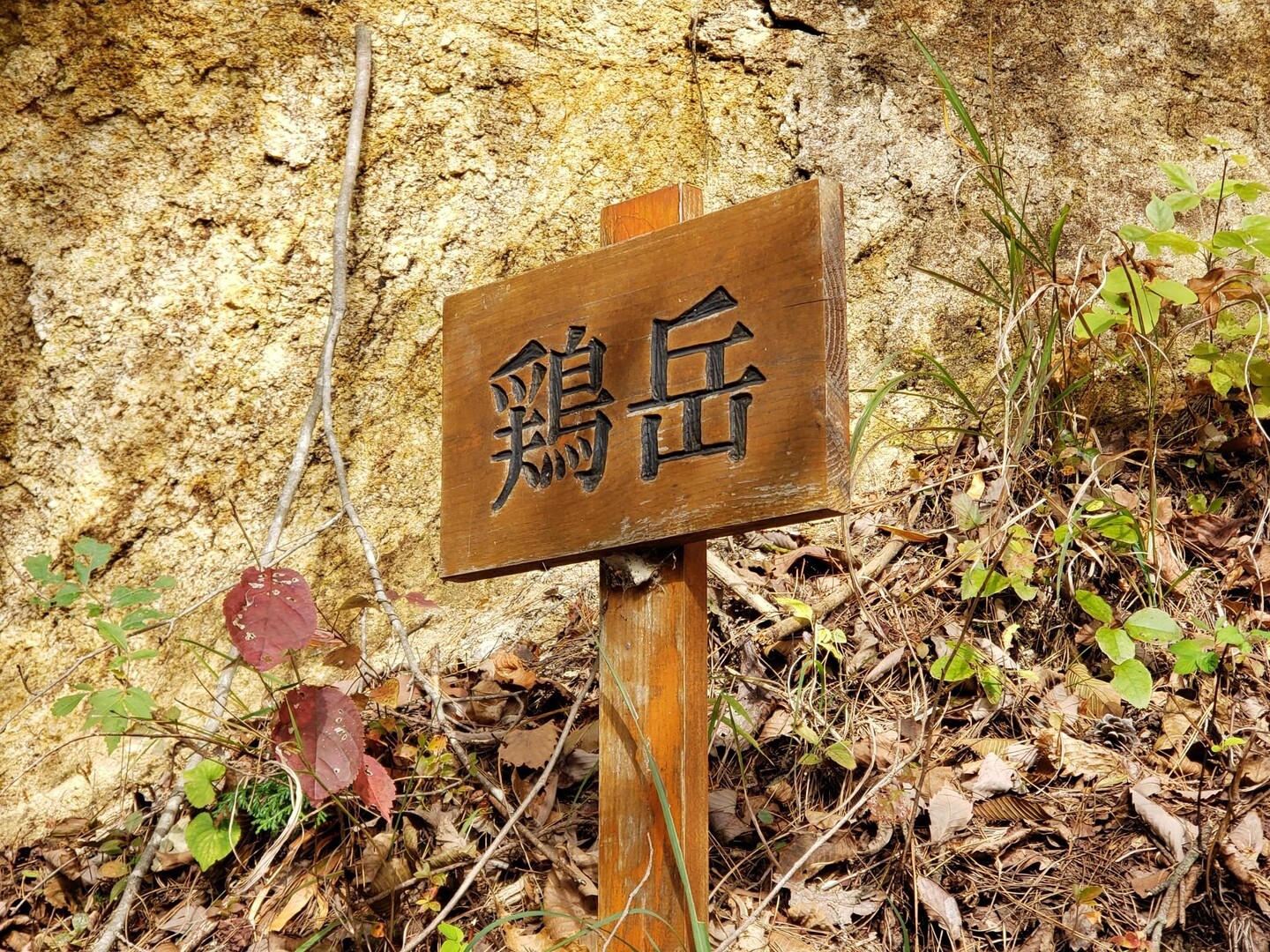 鶏岳 / S.H.Kさんの鶏岳の活動データ | YAMAP / ヤマップ