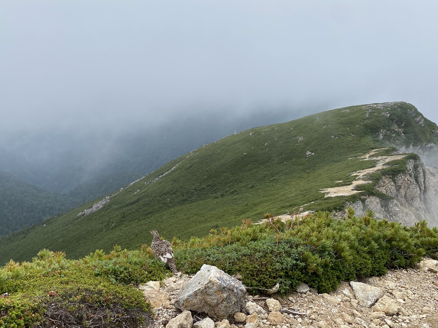 カサガ岳 / みみおちゃんさんの槍ヶ岳・穂高岳・上高地の活動データ | YAMAP / ヤマップ