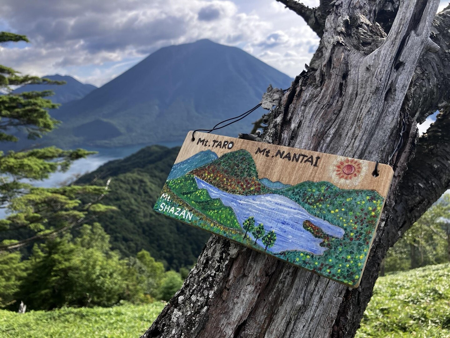 社山 / 727Kさんの社山・半月山の活動データ | YAMAP / ヤマップ