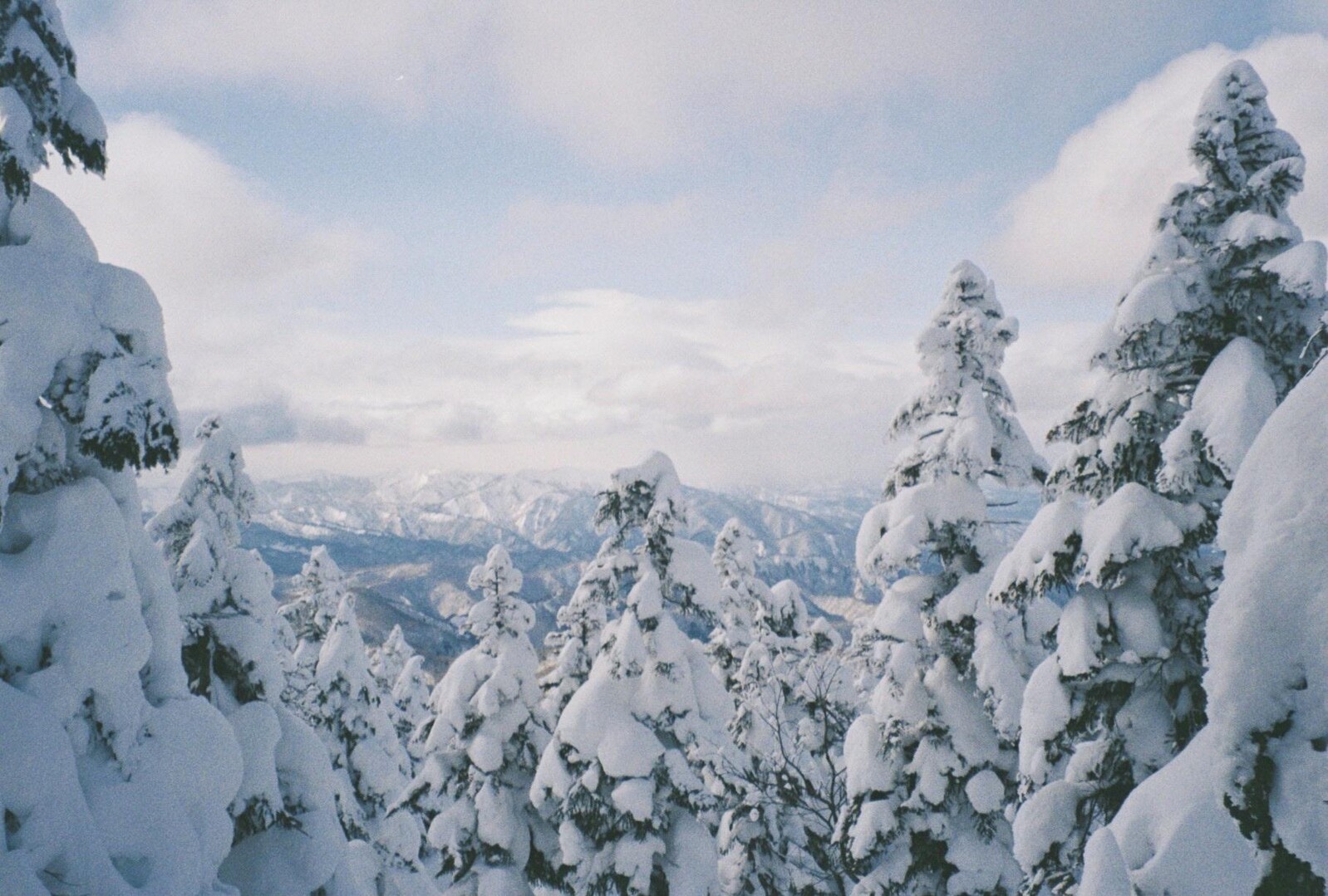 2月に行った時の写真 西吾妻 帰りに見... / Emilyさんのモーメント | YAMAP / ヤマップ