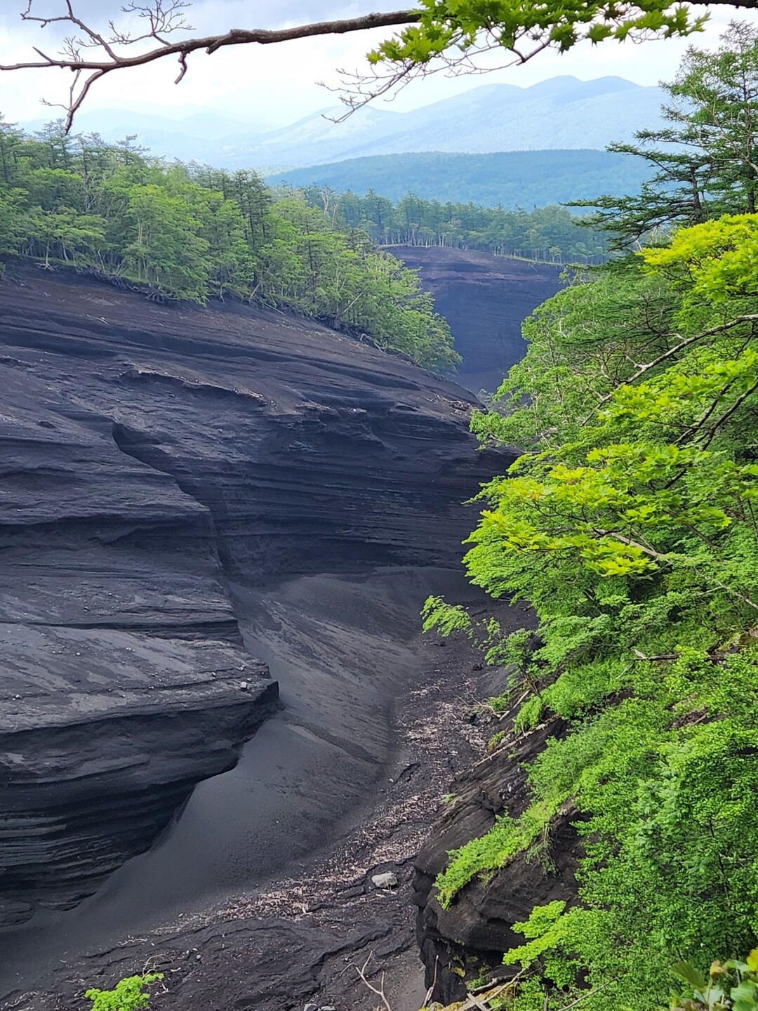 ワゴニア、グランドキャニオン、小富士 / 湘南3699さんの富士山の活動データ | YAMAP / ヤマップ