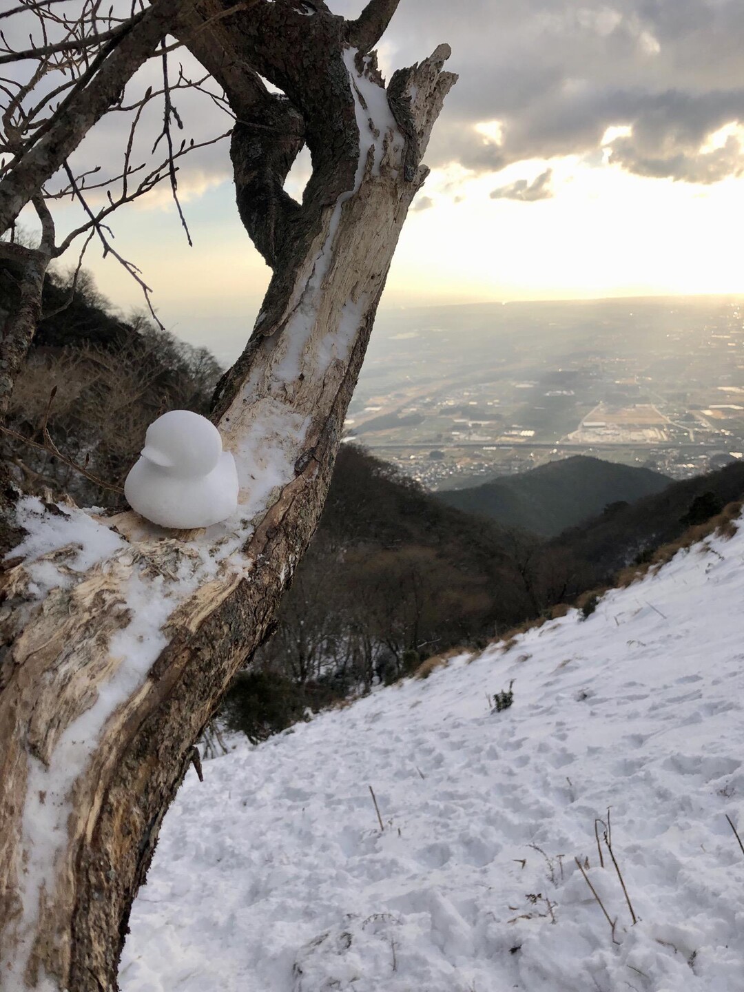 入道ヶ岳 北尾根→井戸谷 / poppoさんの入道ヶ岳・鎌ヶ岳・仙ヶ岳の活動データ | YAMAP / ヤマップ