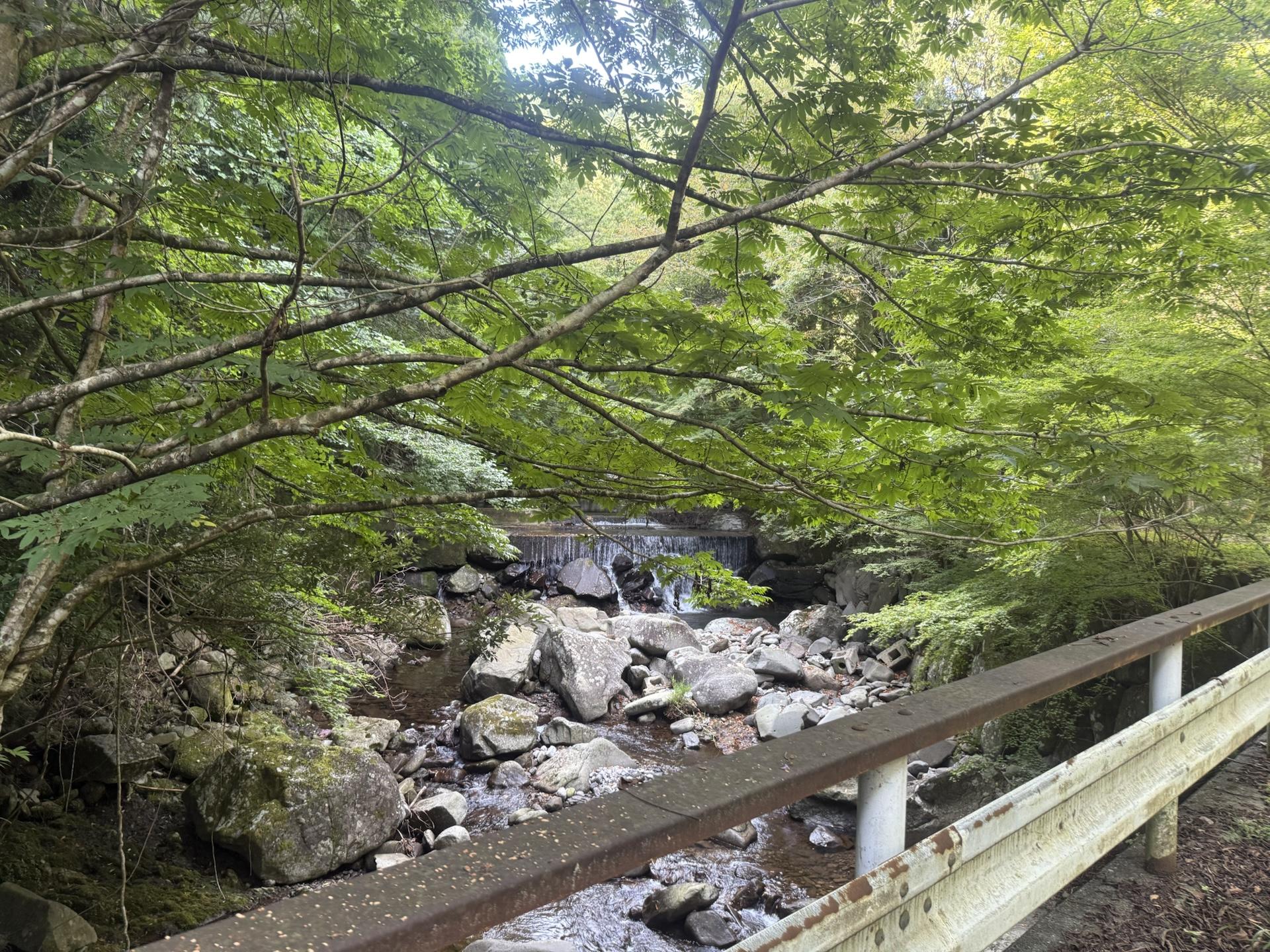 犬ヶ岳 / Haroldさんの犬ヶ岳・求菩提山の活動データ | YAMAP / ヤマップ