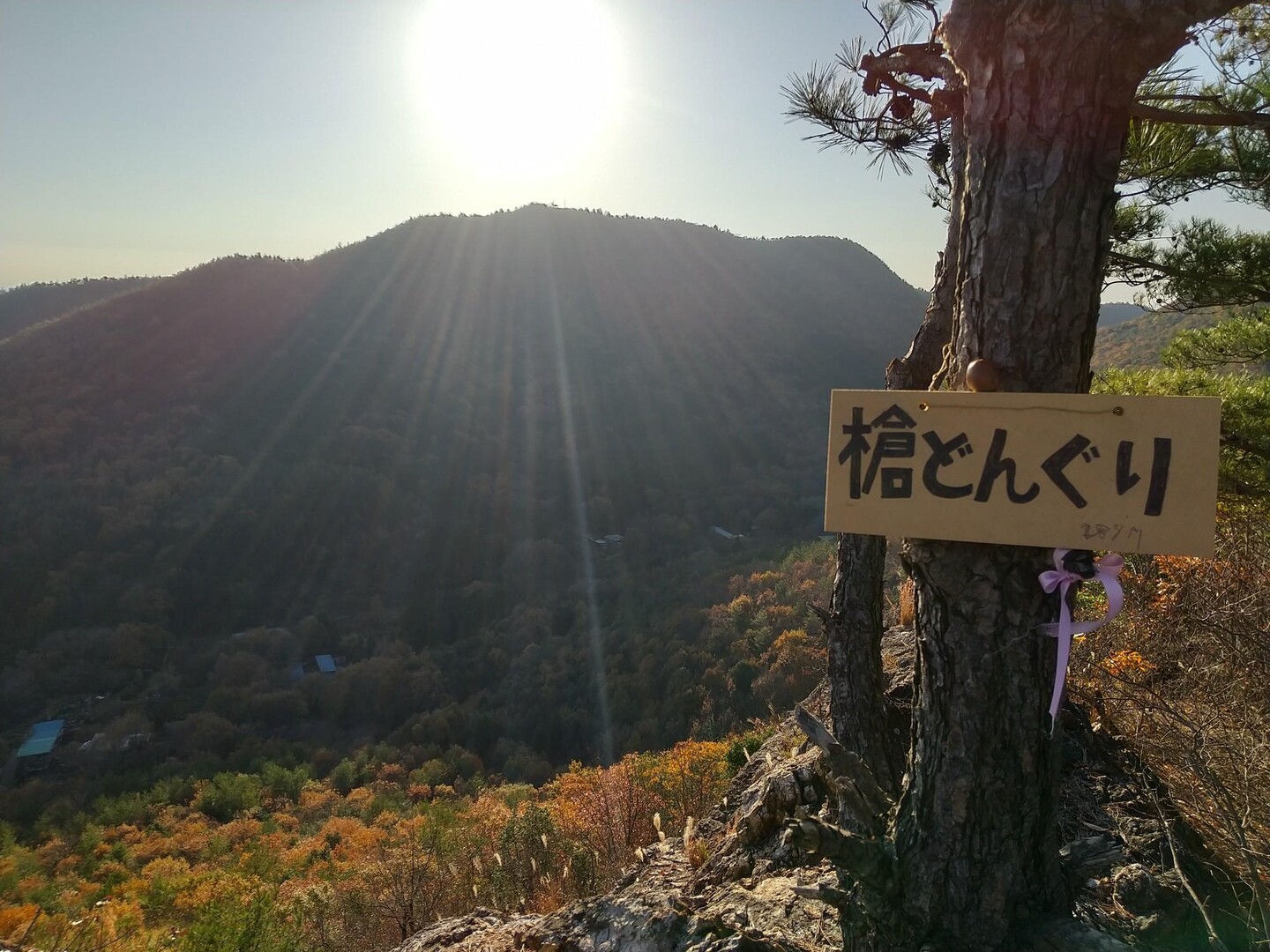 里山歩き8《芥見権現山・槍どんぐり》 / カタナさんの各務原アルプス・八木三山の活動日記 | YAMAP / ヤマップ