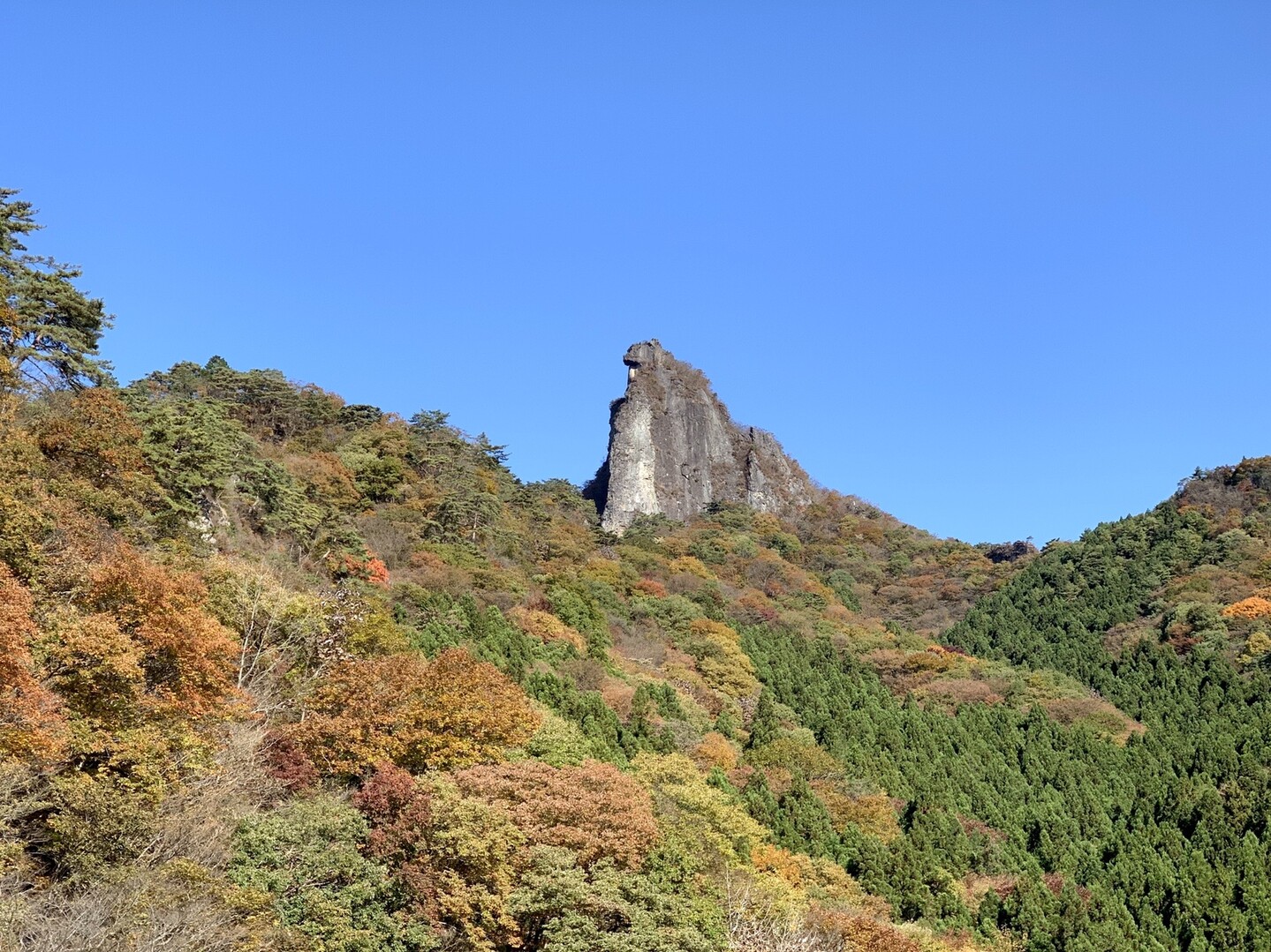 子持山-2020-10-31 / WTさんの子持山の活動データ | YAMAP / ヤマップ